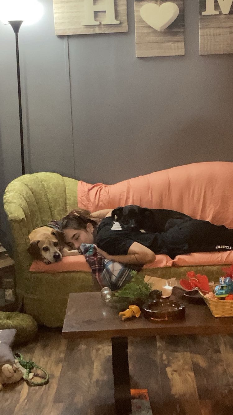 Fundraiser by Lakyn Swindler : Help Halo Recover After Attack