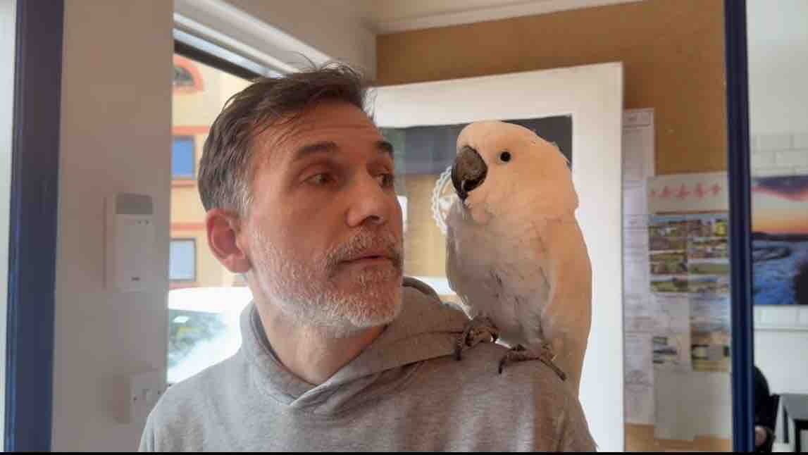 Fundraiser by Claire Wood Hill : Uncle Alex vet