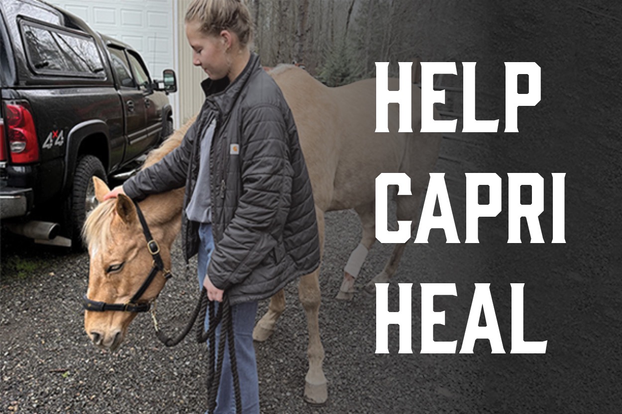 Fundraiser by Julie Stonefelt : Help Capri Heal