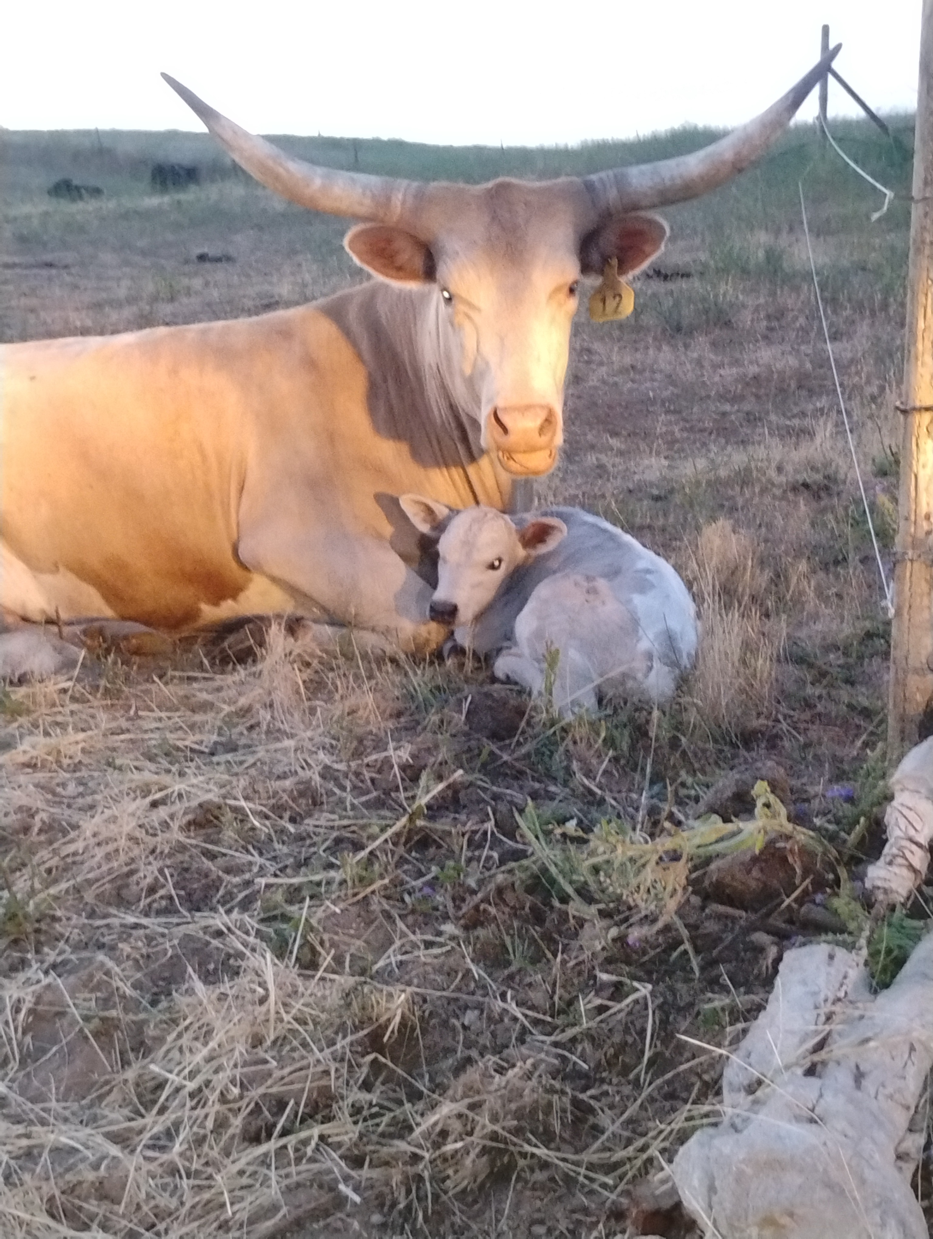 Fundraiser for Katherine Patton by stephen Hickson : Help Stephen ...