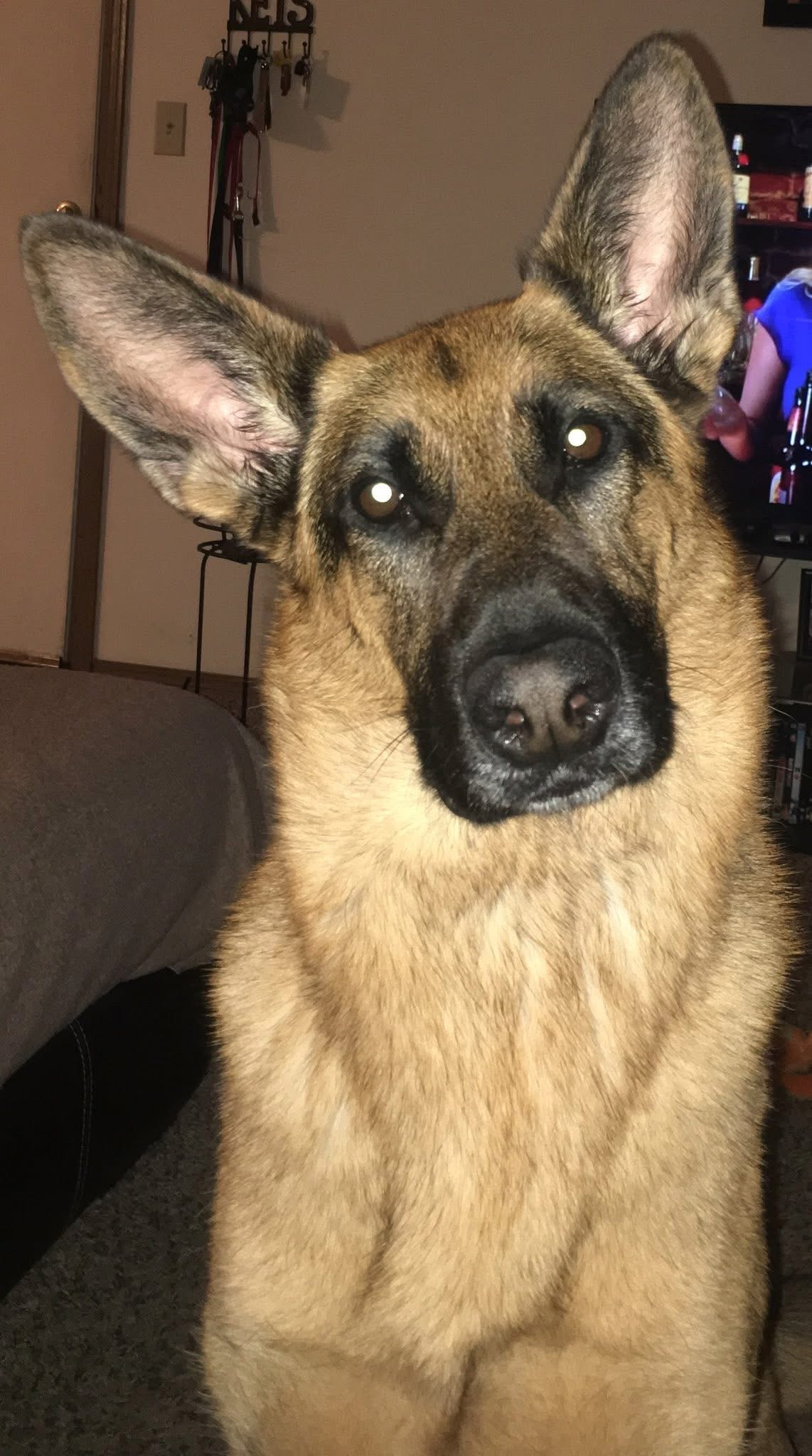 Fundraiser by Rachel Duckworth : Help Maya Get Life-Saving Surgery