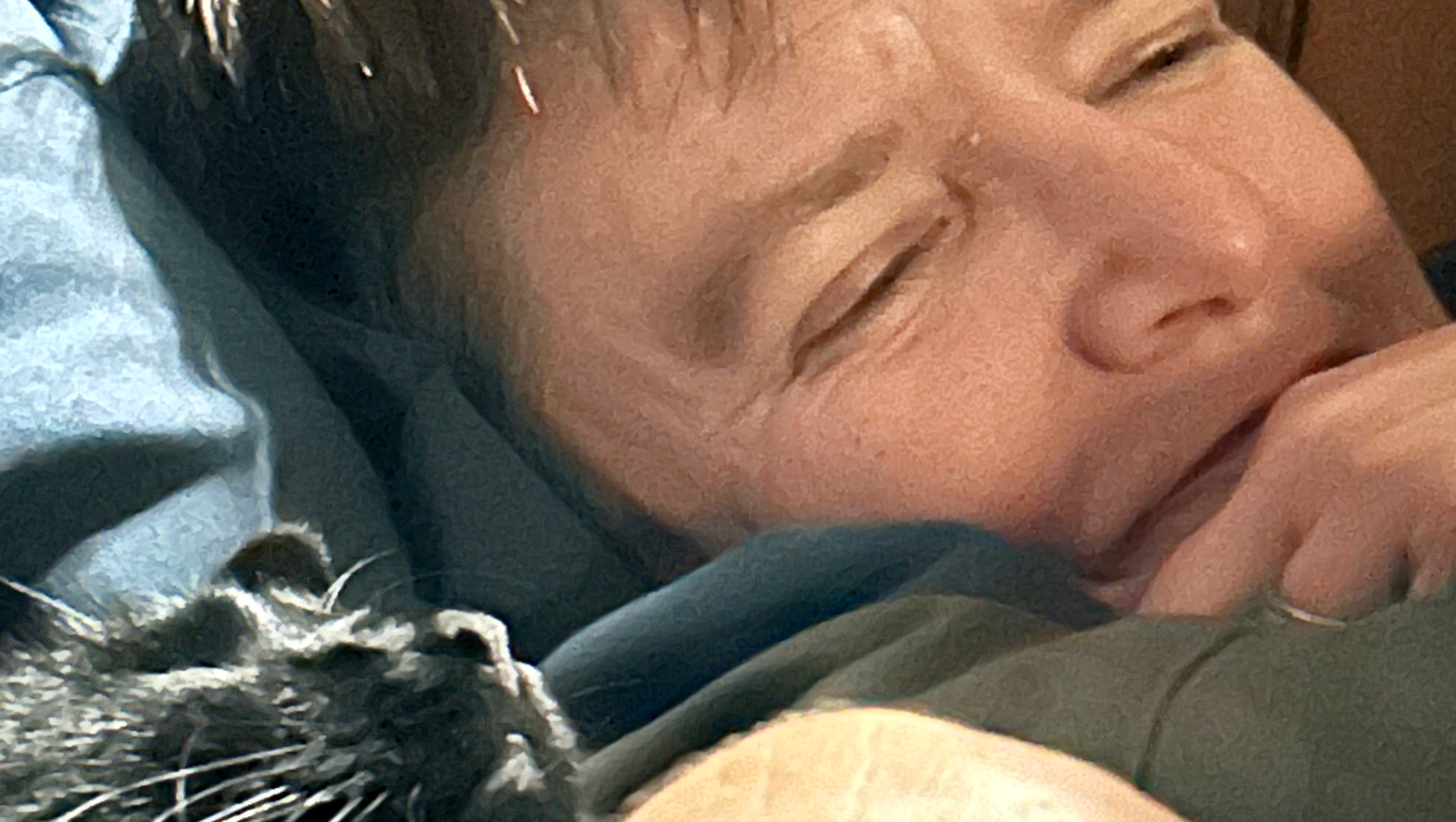 Fundraiser for Robin Callahan by Lakey Lakey : Support Robin’s Surgery ...