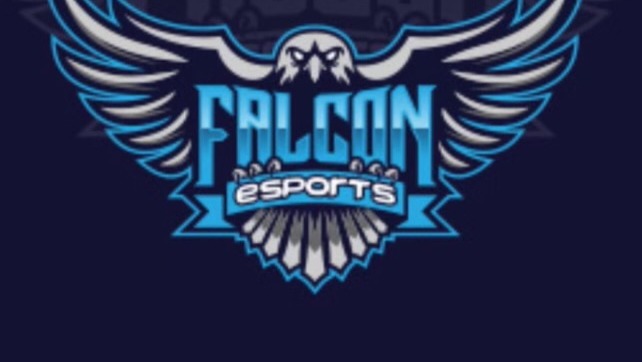 Fundraiser by Douglas Dickerson : Support Falcon Track Club's Elite ...