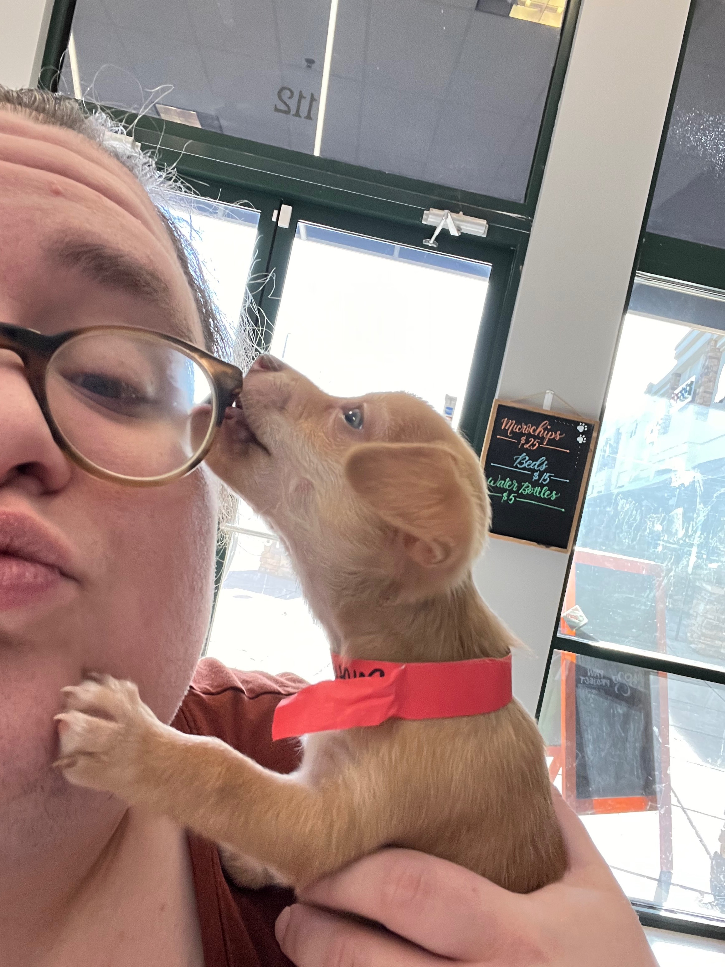 Fundraiser by Peyton McVey : Help Winnie Get Life-Saving Surgery