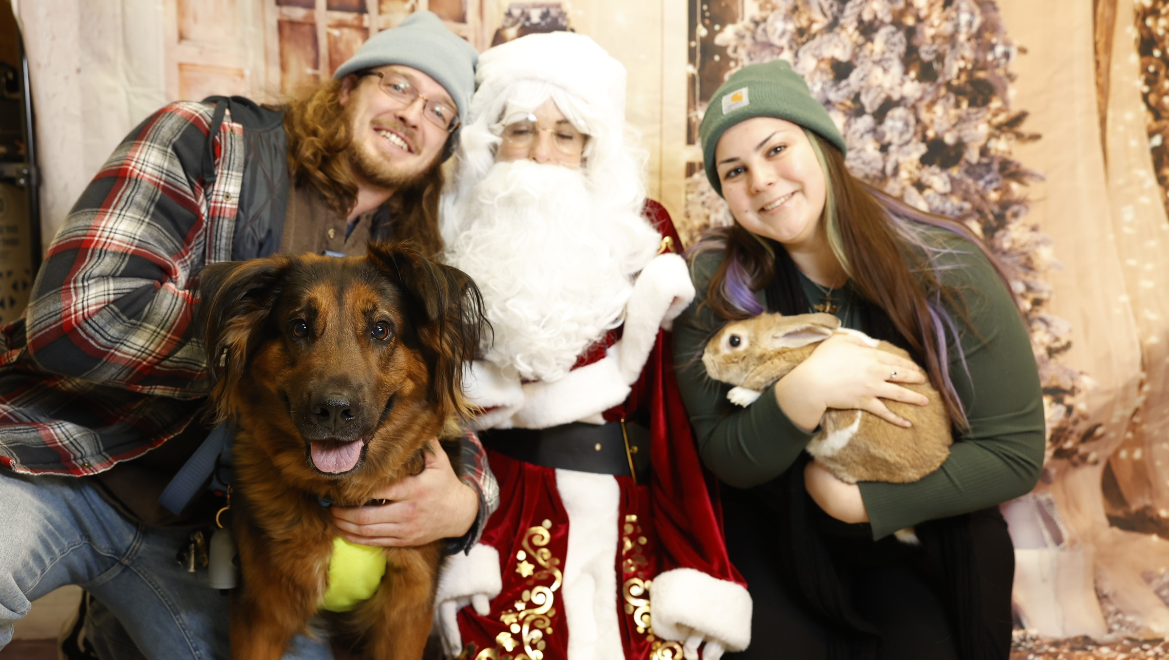 Fundraiser by alejandra miller : Help Us give Marley the best life possible