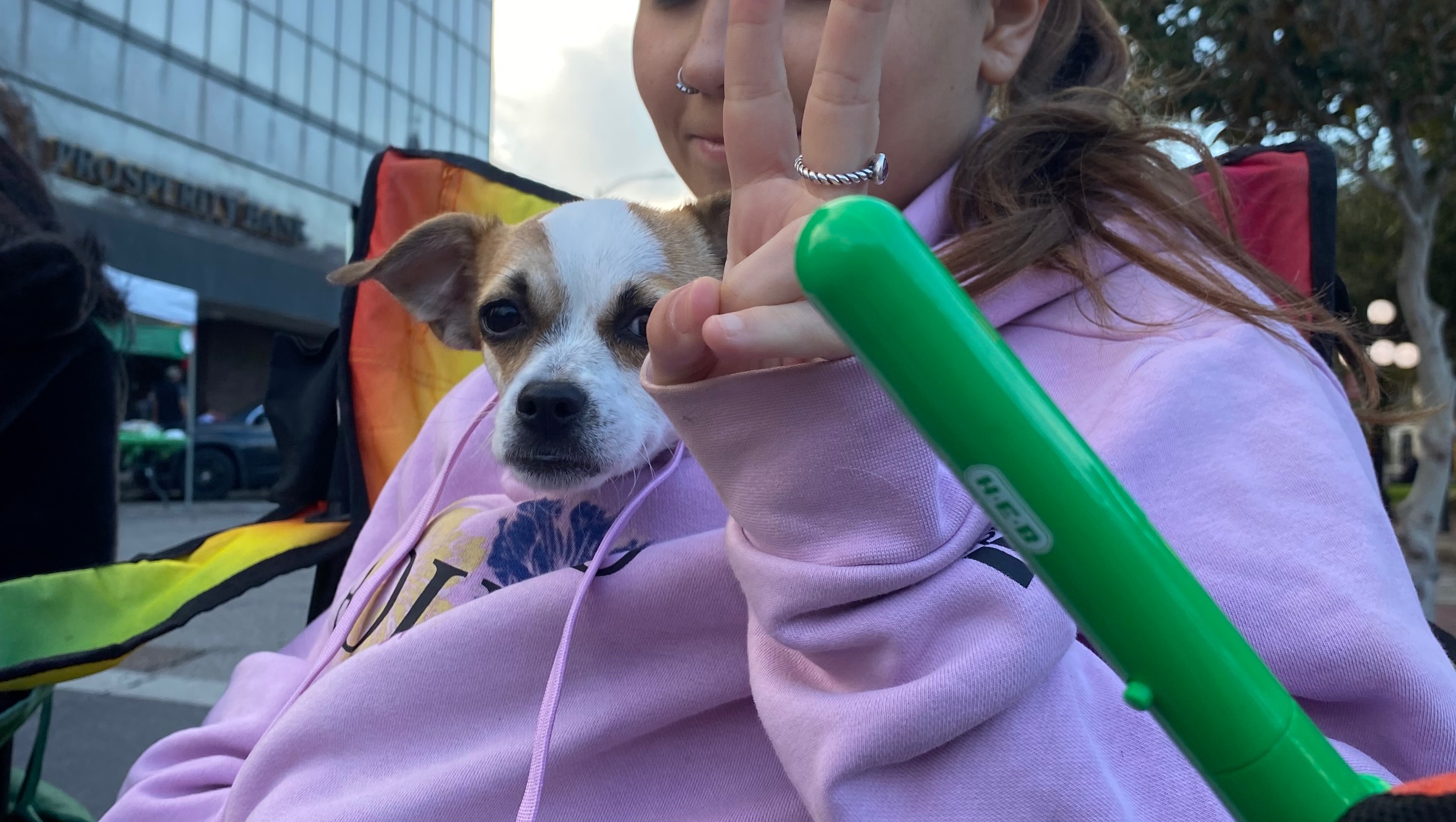 Fundraiser by mariah rivera : Help Trixie Get the Care She Deserves