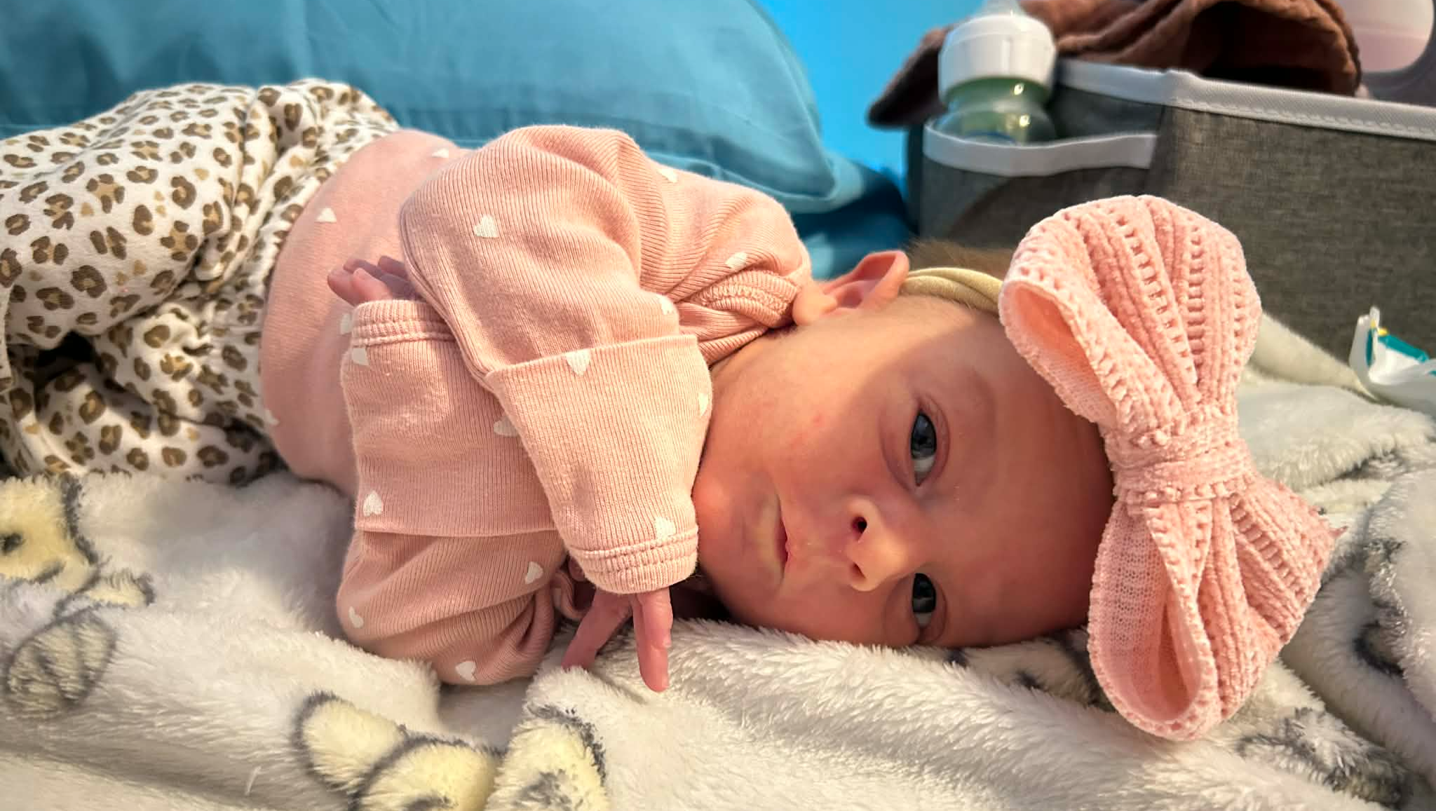 Fundraiser by Kevin Kipp : A Loving Farewell for Little Ellie Bug