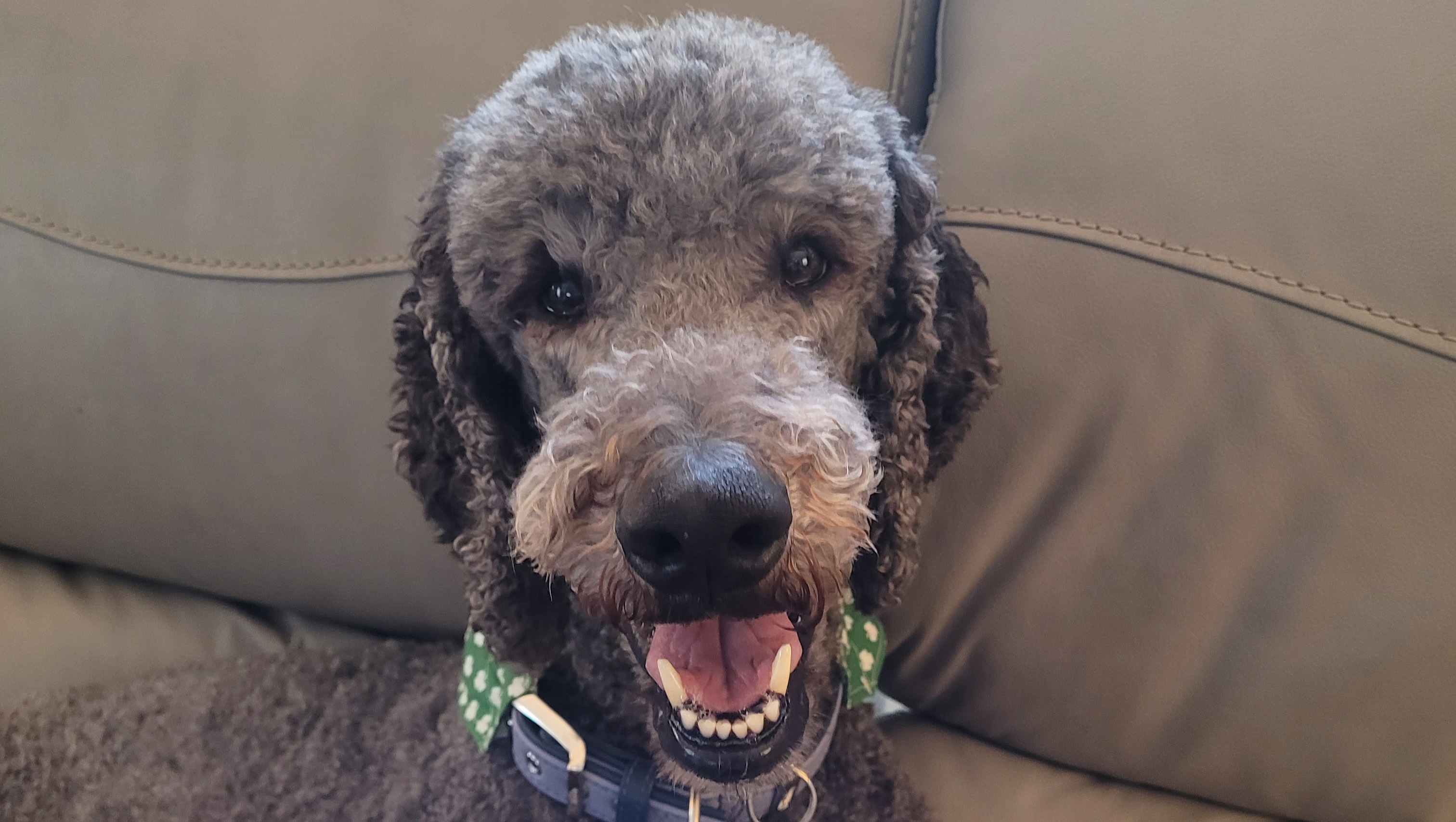 Fundraiser by Erika Knapp : Help Zack Get Lifesaving Medical Care