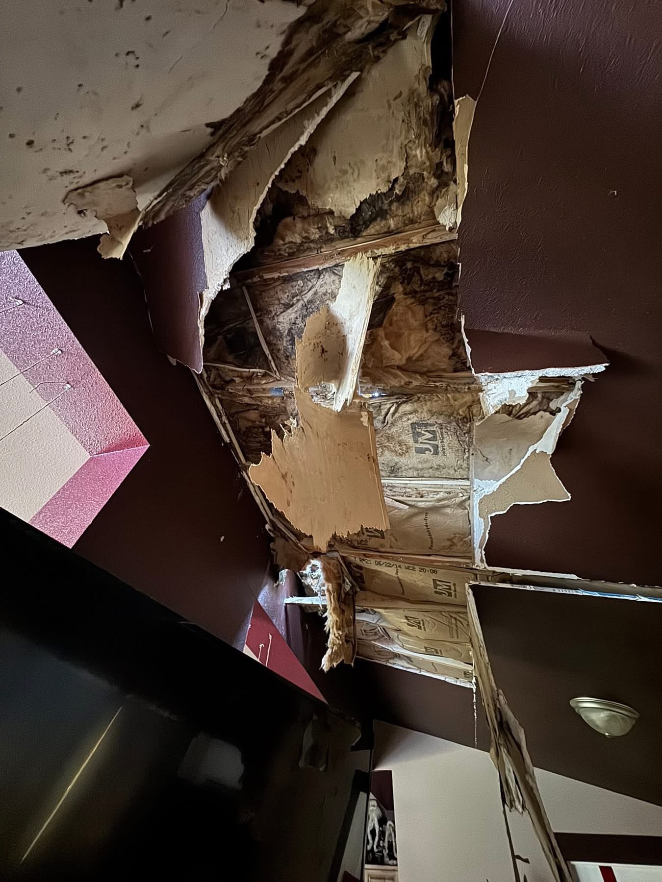 Fundraiser for Delaney Butler by KaLinda Lewis : Help The Butlers Rebuild