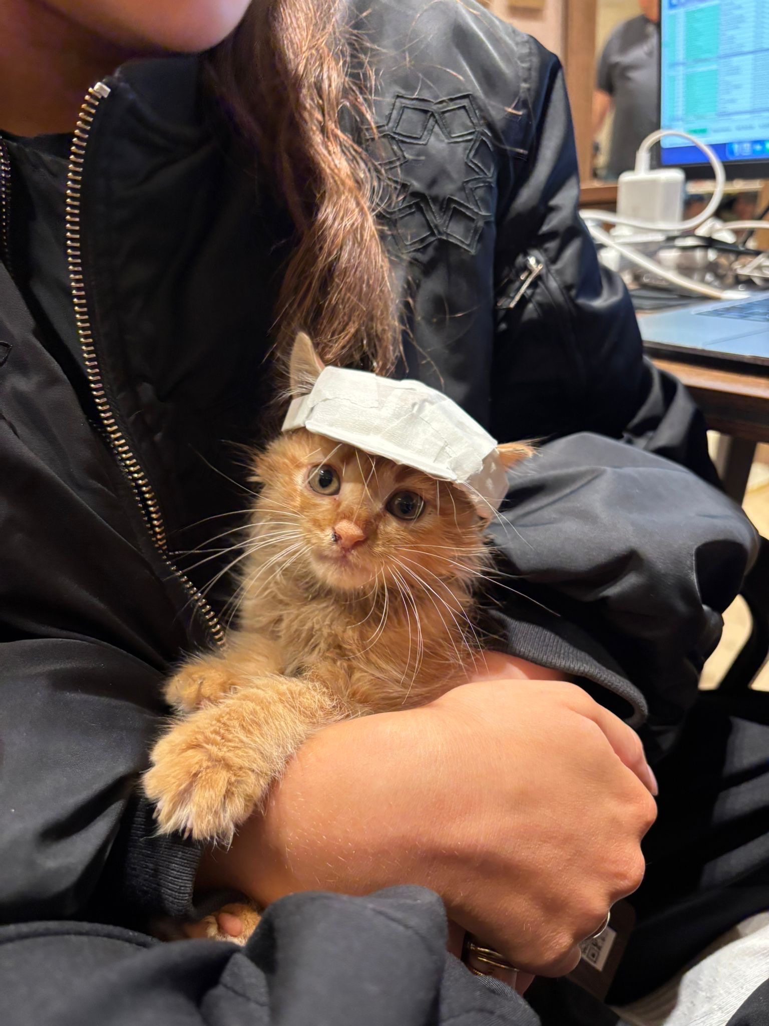 Fundraiser by Annie Cavanagh : Get TJ Home