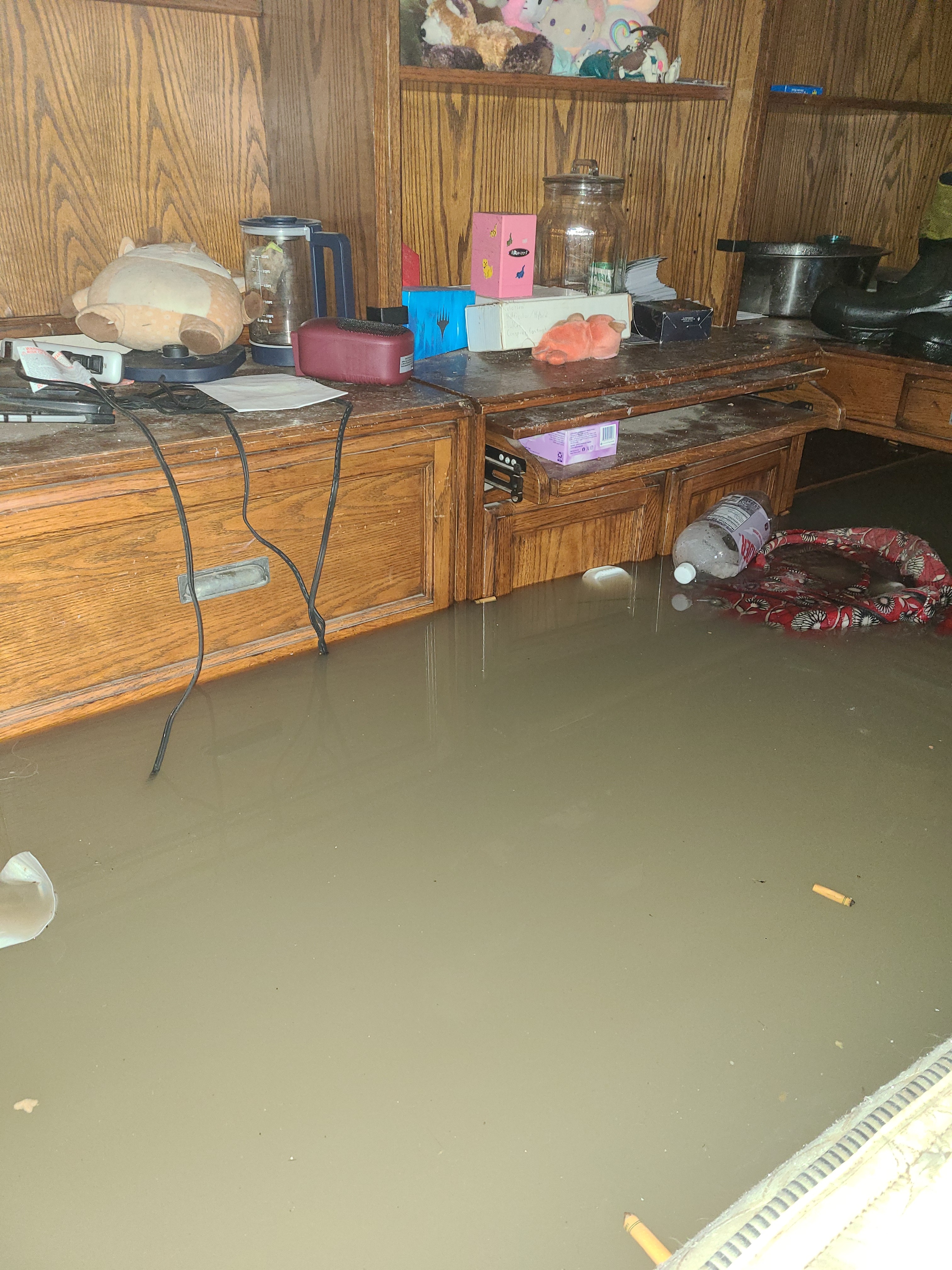 Fundraiser by Kristen Nelson : Help Kristen & Lucas Recover from Flooding