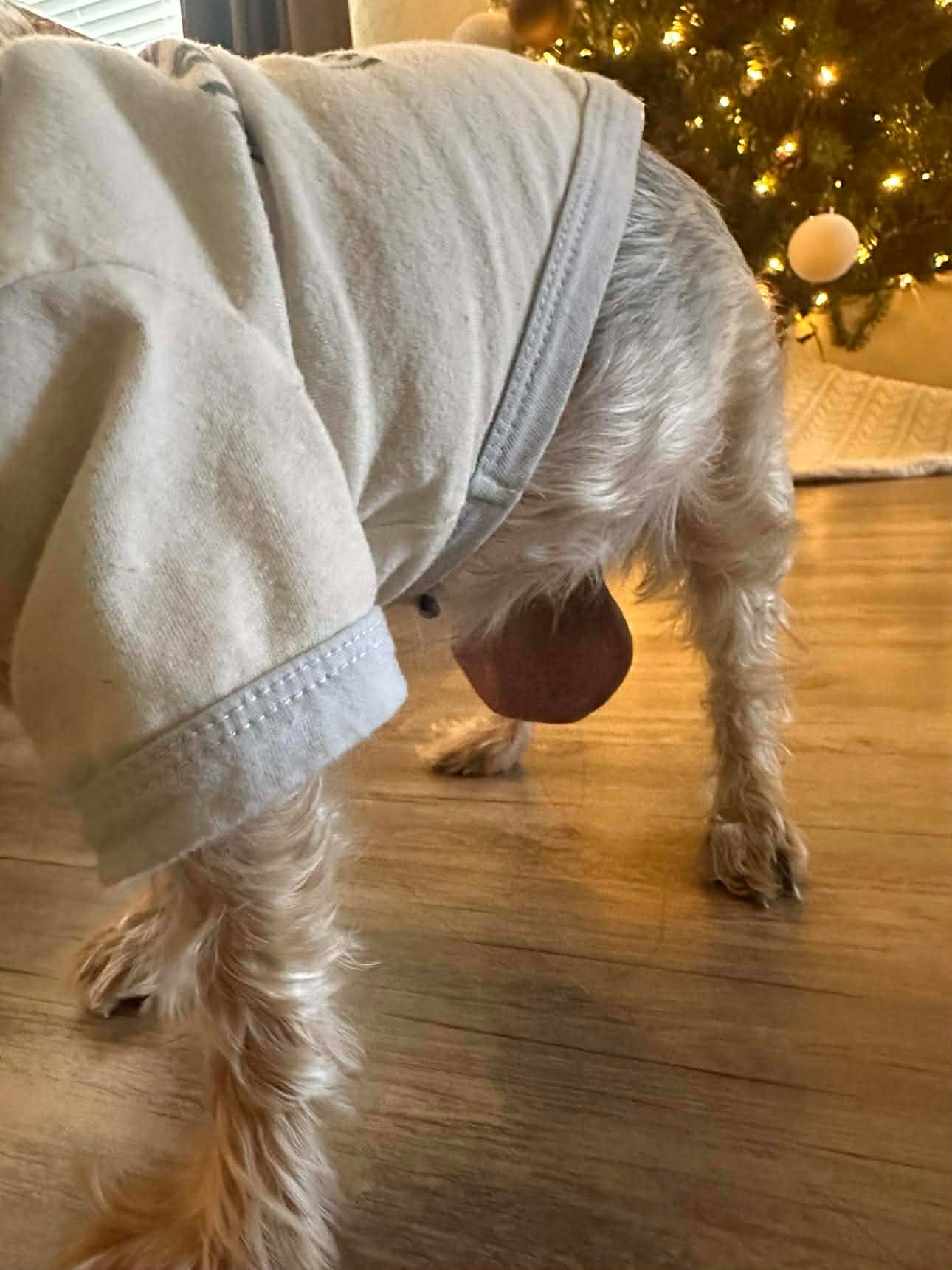 Fundraiser by Valerie Ramirez : Help Princess Get Life-Saving Surgery