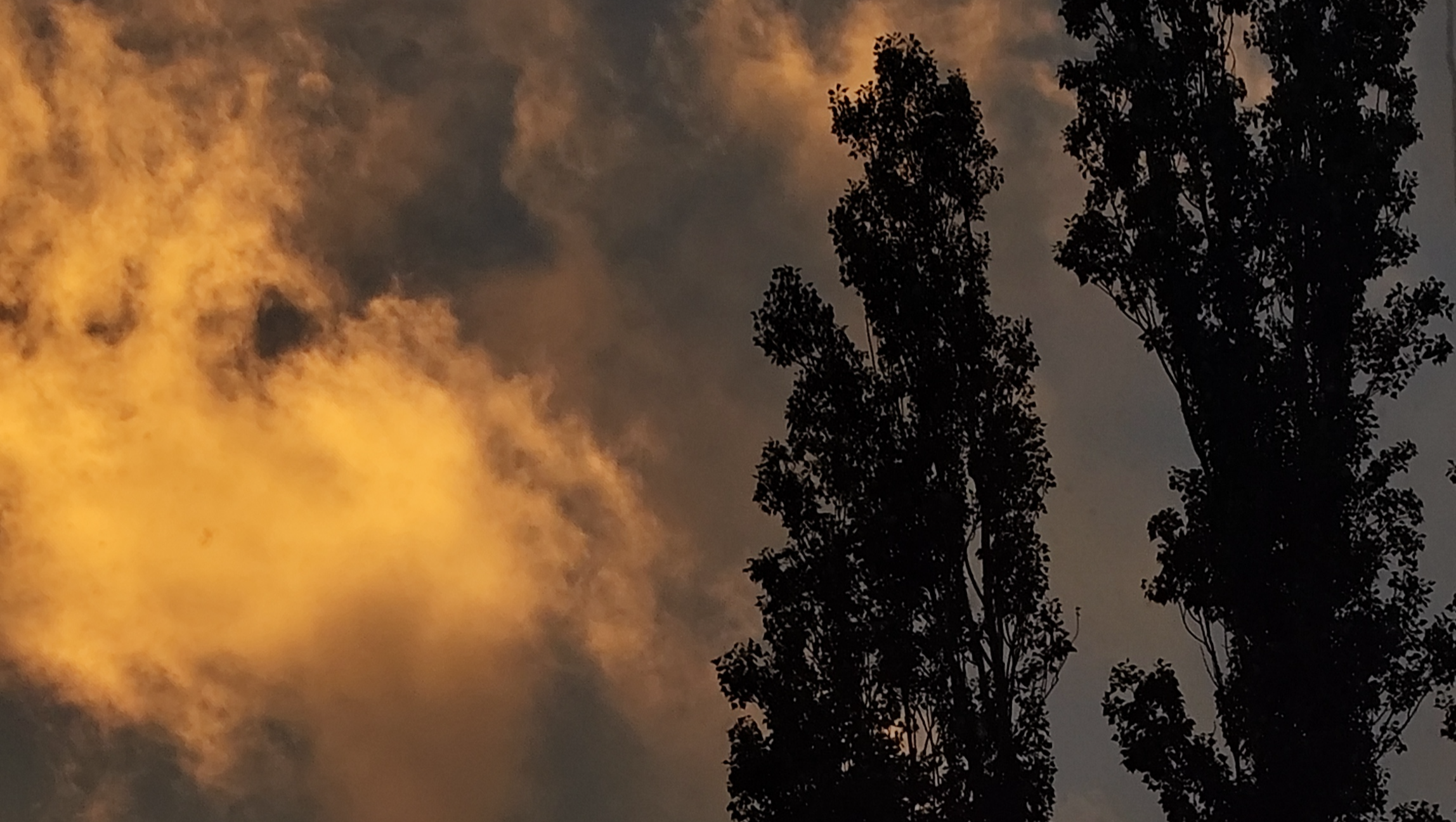 Fundraiser by Irene Piccoli : Help me pay my rent and have a second chance