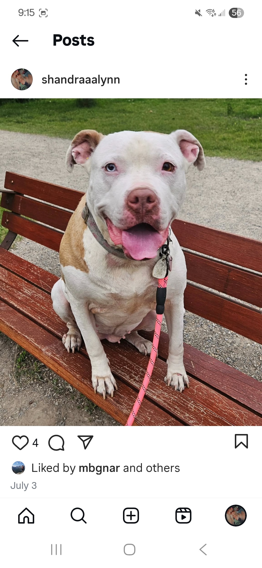 Fundraiser by Shandra Myer : Please Help Us Get Answers for Chip