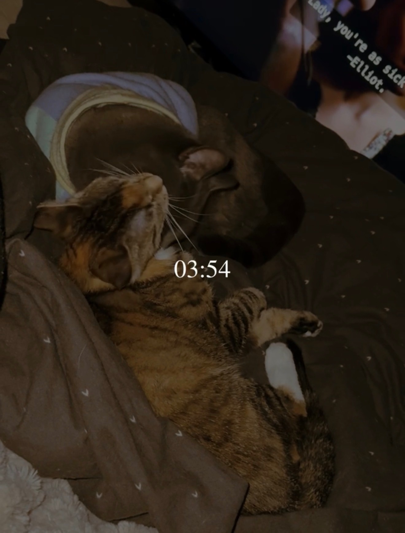 Fundraiser for Emili Harris by Maria AG : Help Ruby get lifesaving surgery