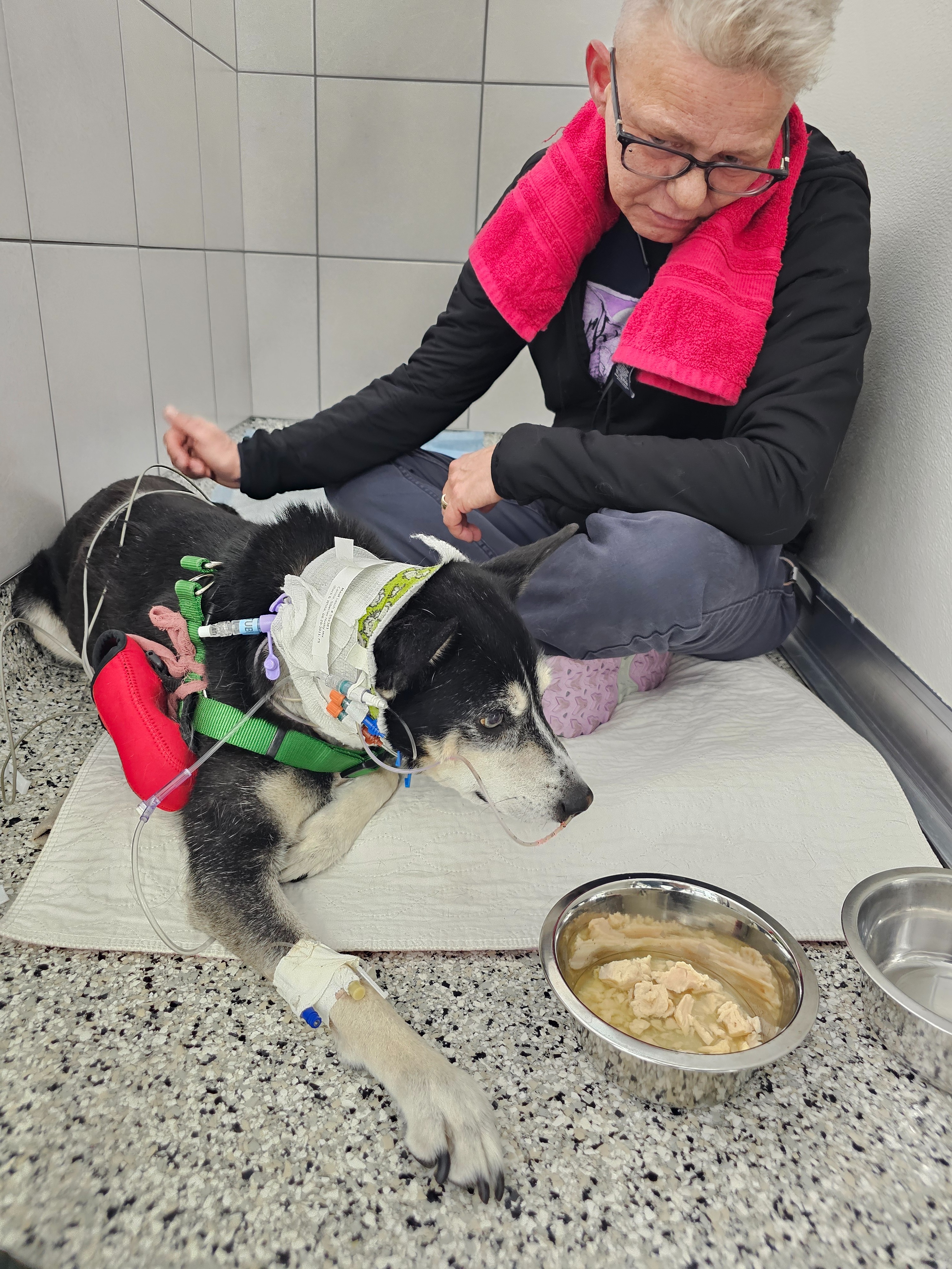 Fundraiser by Pam Morris : Helping Maui Recover After Emergency Surgery