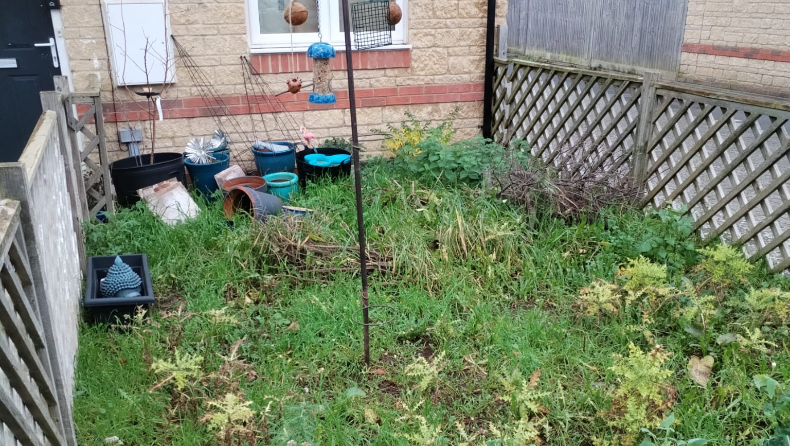 Fundraiser by Hilary John : Transform my garden into a bee and ...