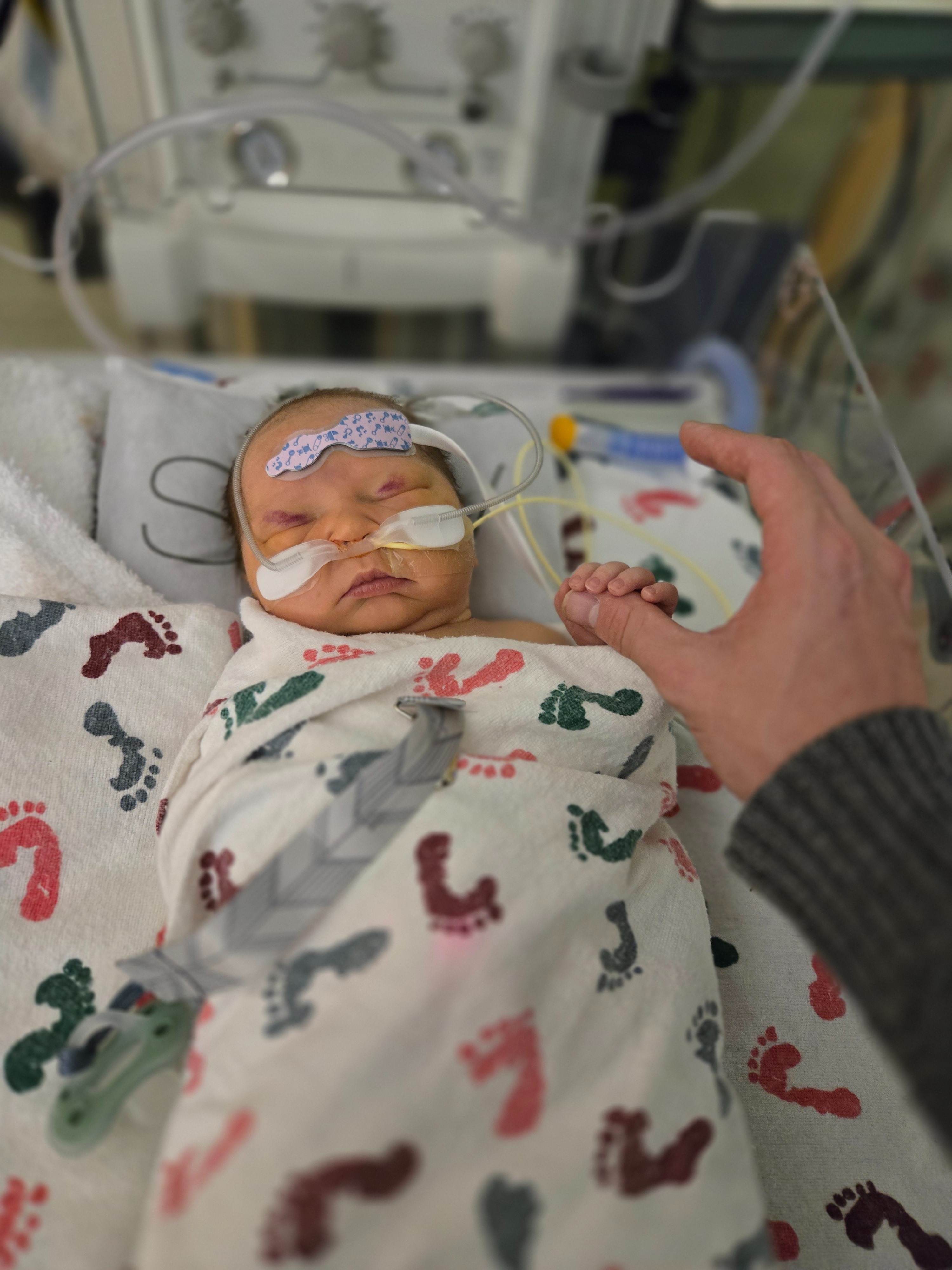 Fundraiser by John Shemenski : Support for Our Son’s Heart Surgery Journey