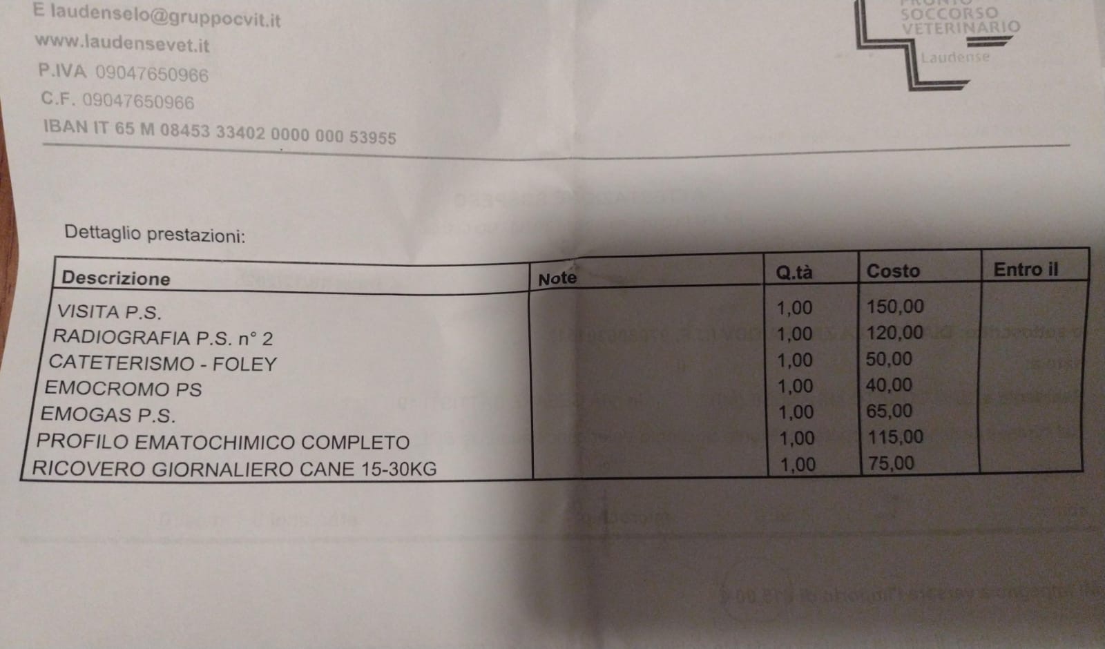 Fundraiser by Nicoletta Colombo : AIUTIAMO RYAN E ROSABEL A TORNARE A ...