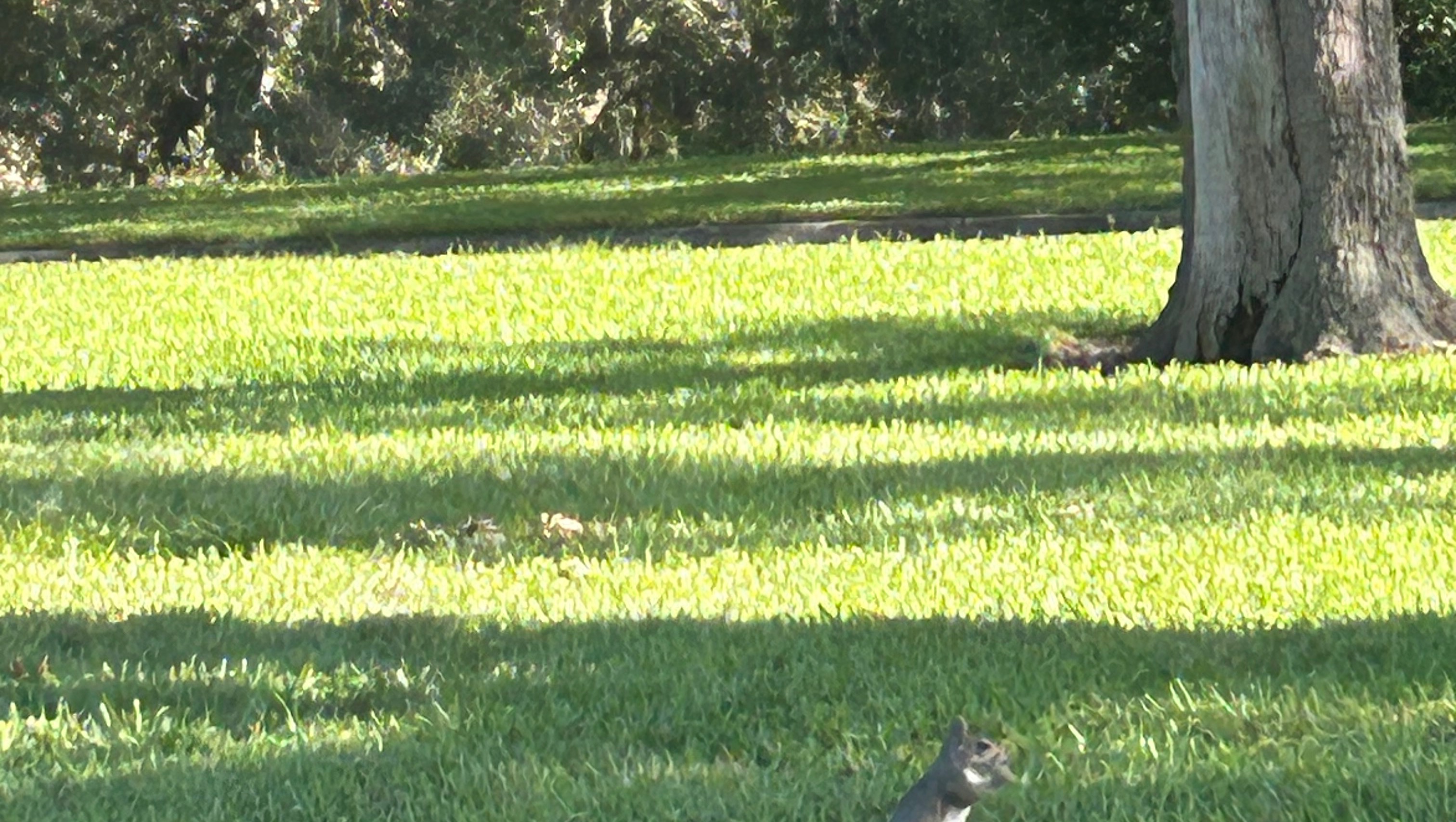 James Patrick Bulliner ’s GoFundMe Profile