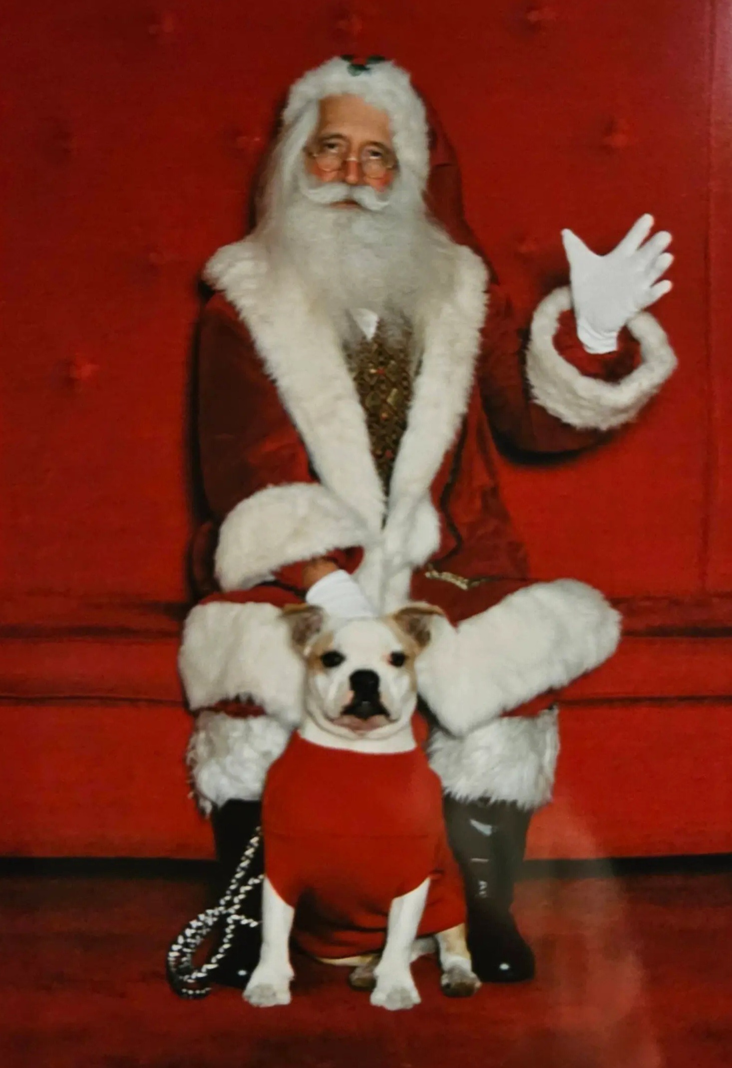 Fundraiser by Desiree Perrone : Give Elvis Dean His Best Life Back