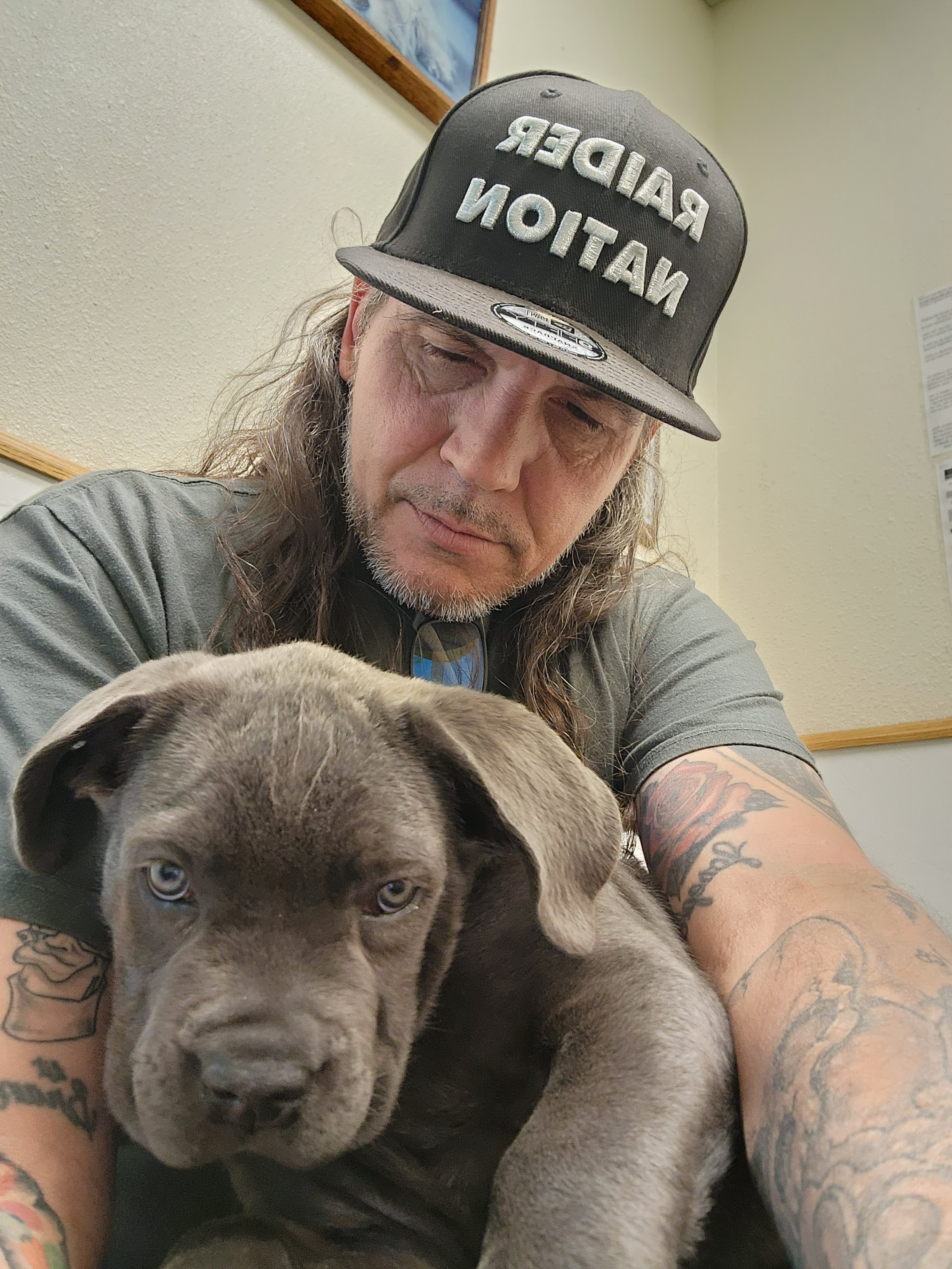 Fundraiser by BRANDON Young : Help Stella Get Her Surgery