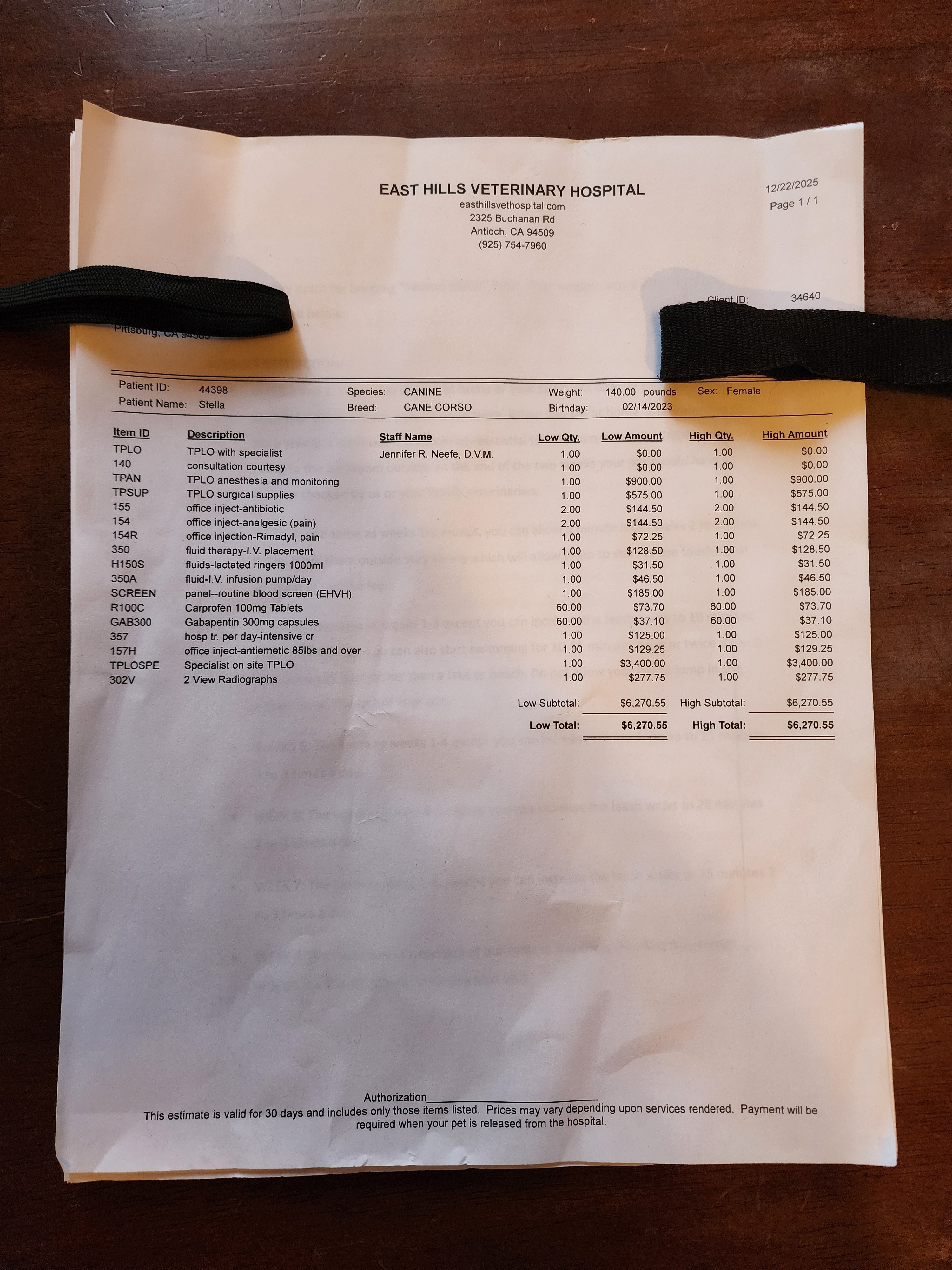 Fundraiser by BRANDON Young : Help Stella Get Her Surgery