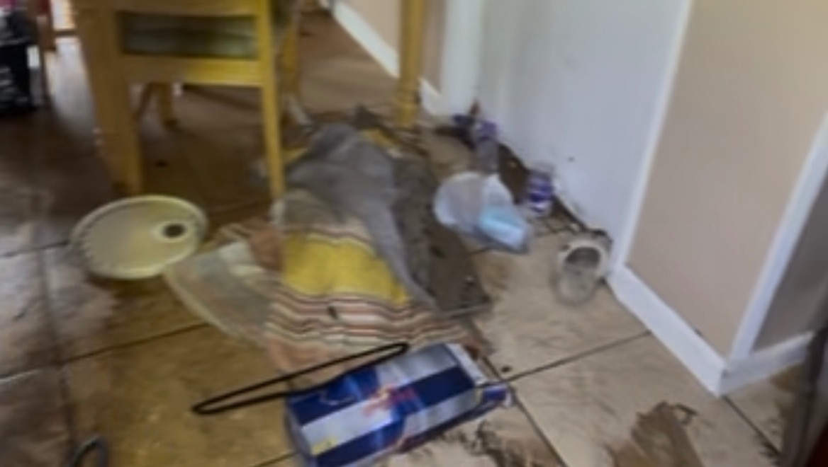 Fundraiser by Darcy Doak : Help Darcy & Son Rebuild After Flood