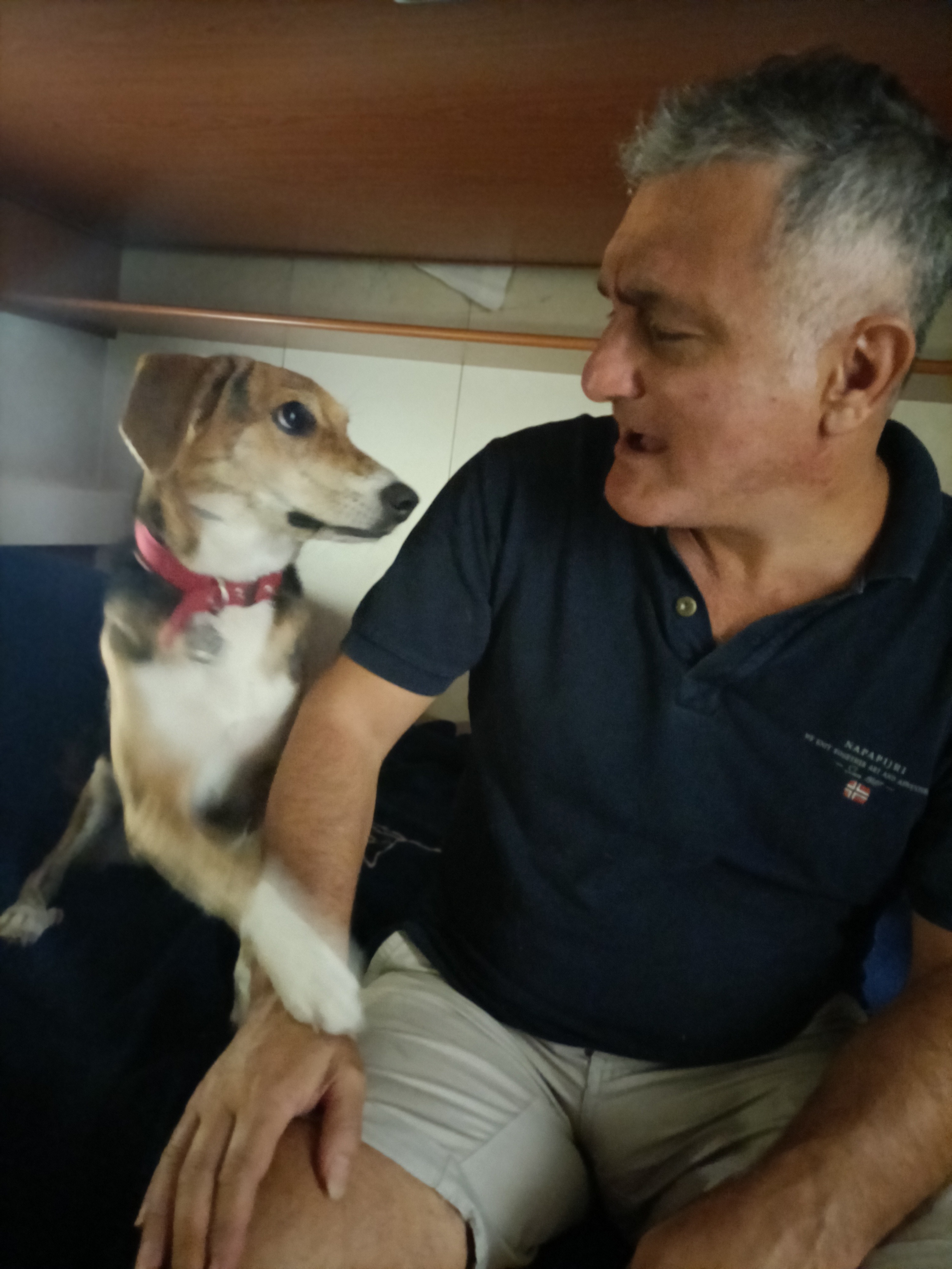 Fundraiser by Beatrice Goja : Per Ciccio we need help