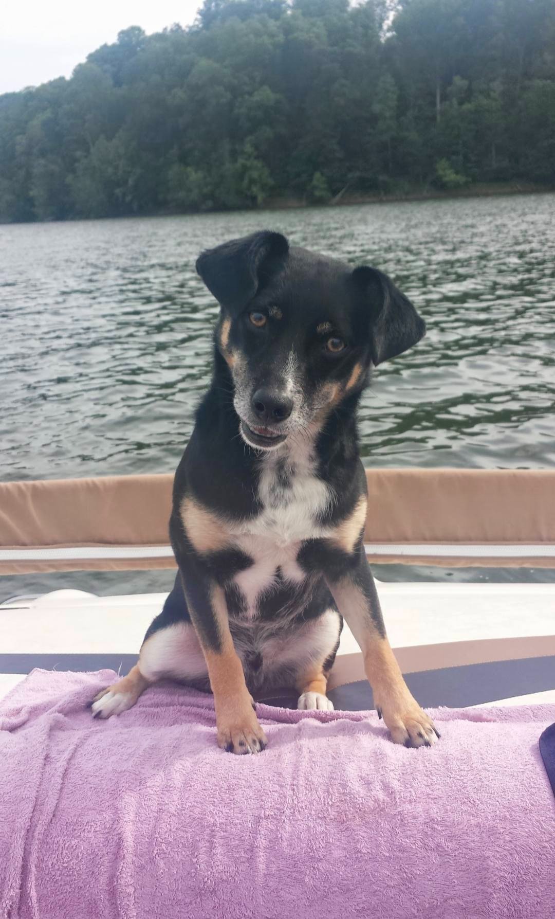 Fundraiser for Daniel and by Heidi Sullivan : Supporting Sully's Family ...