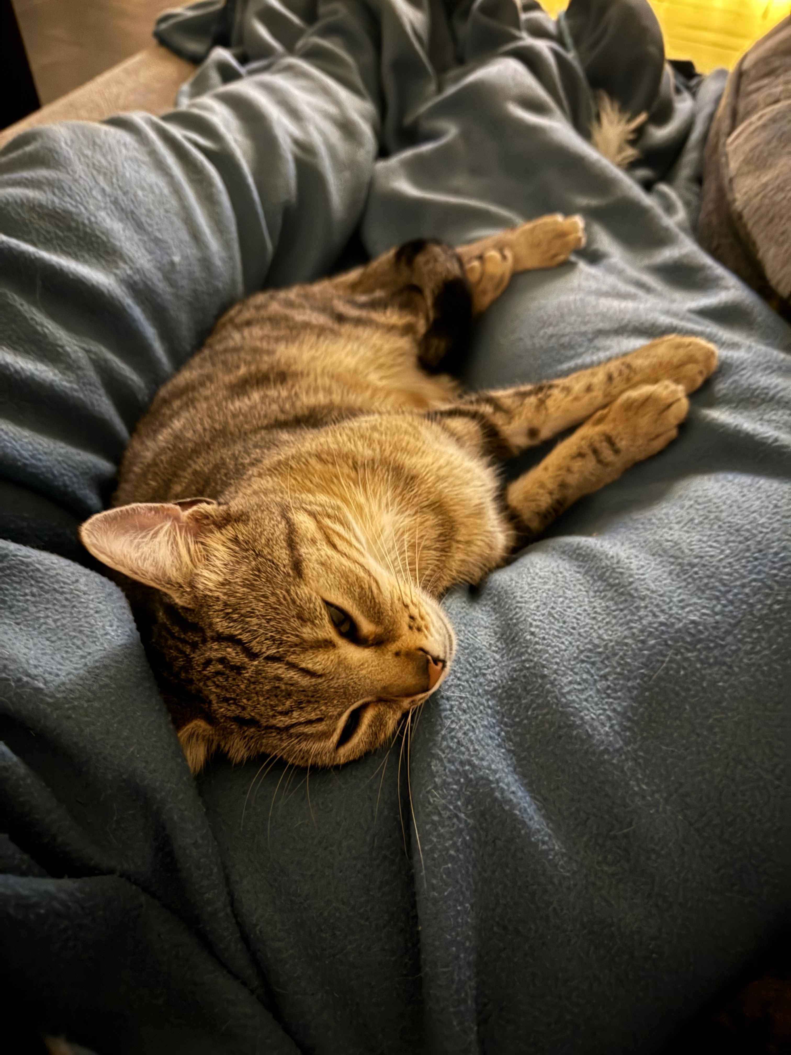 Fundraiser by Sebastian Koenigs : Operation für Madita