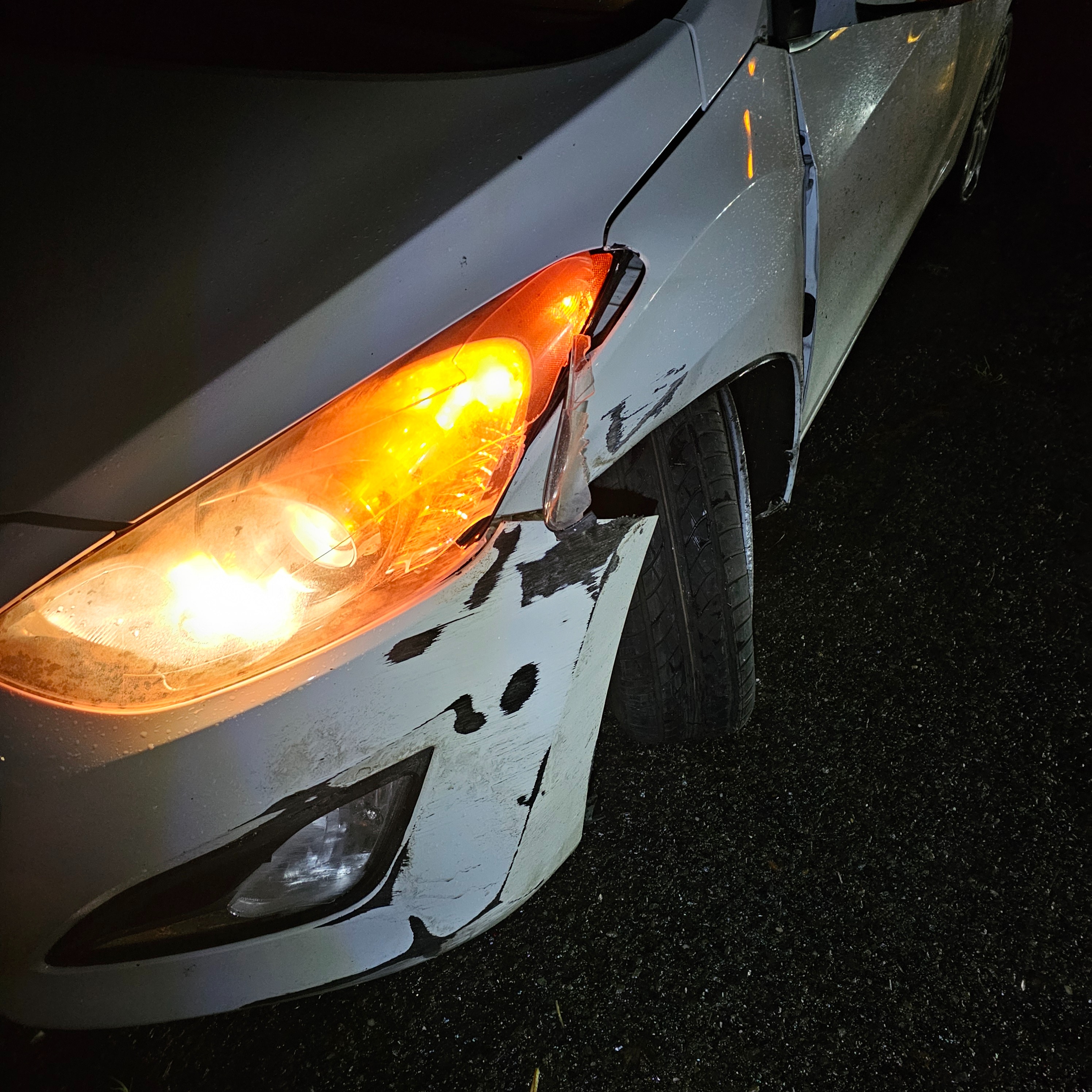 Fundraiser by Rising Into Self Empowerment : Christmas Day crash...need ...