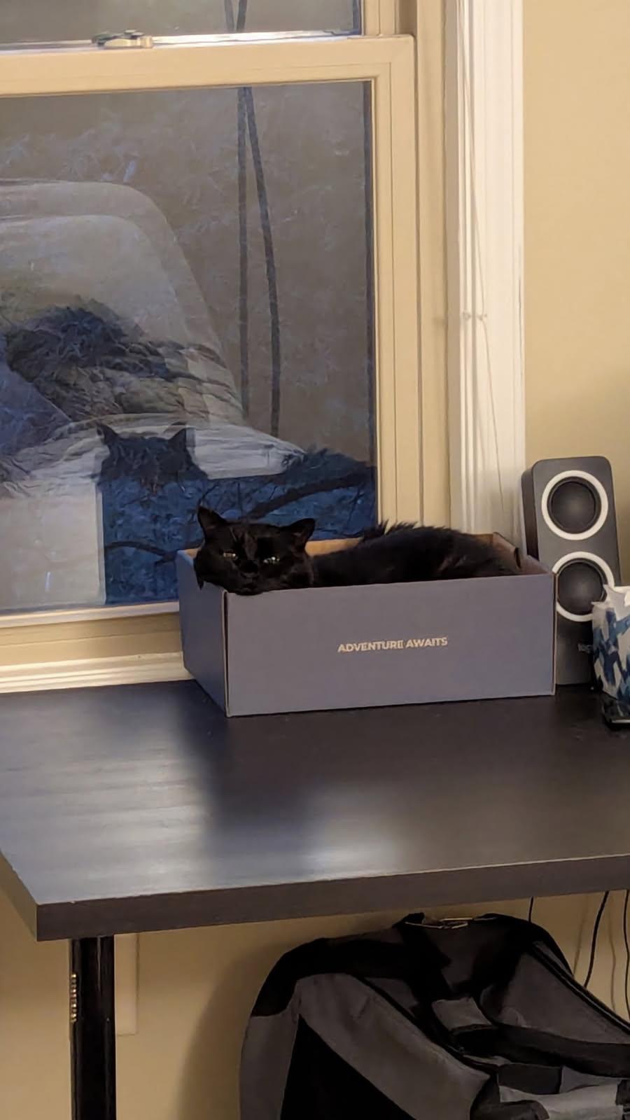 Fundraiser for Hope Slone by Shaina Phillips : Relief for Hannah ...