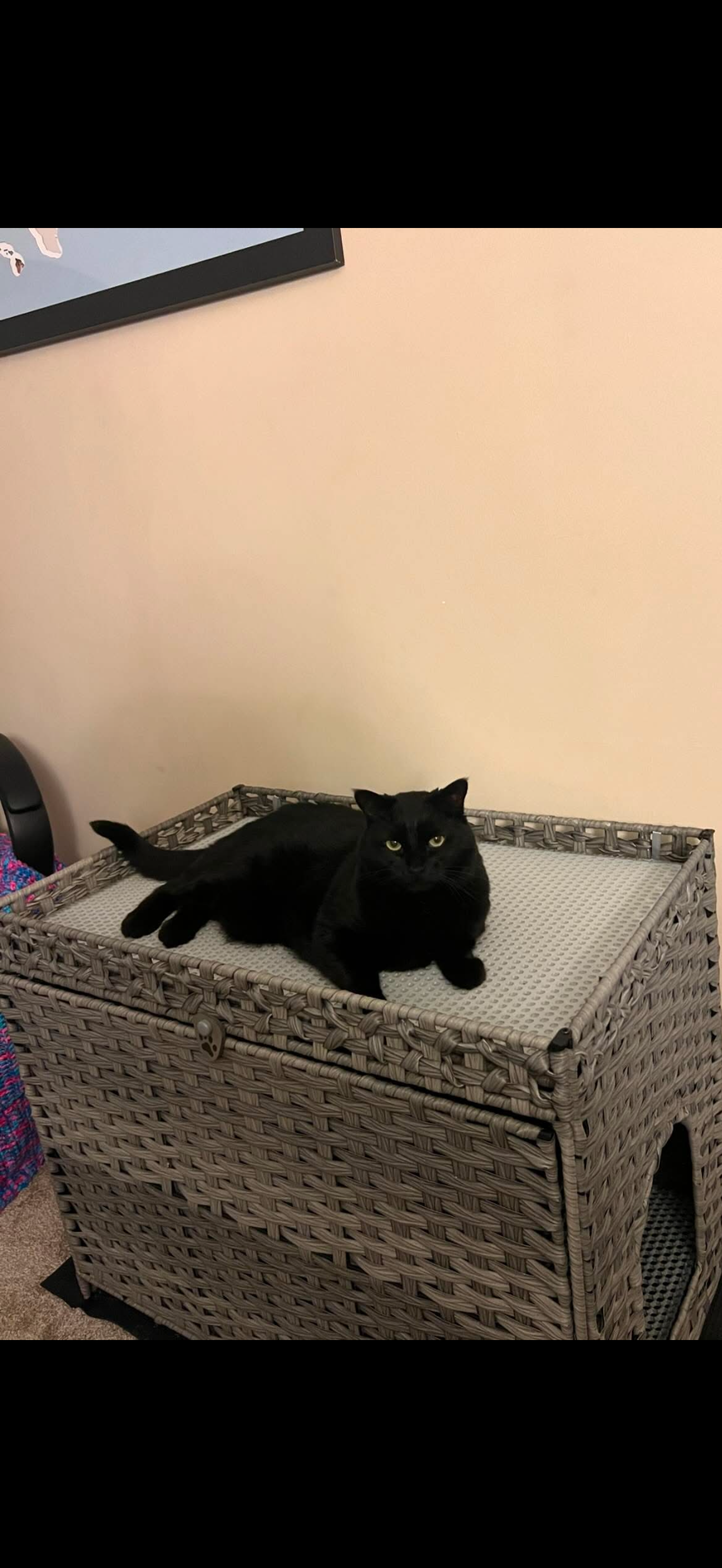 Fundraiser for Hope Slone by Shaina Phillips : Relief for Hannah ...