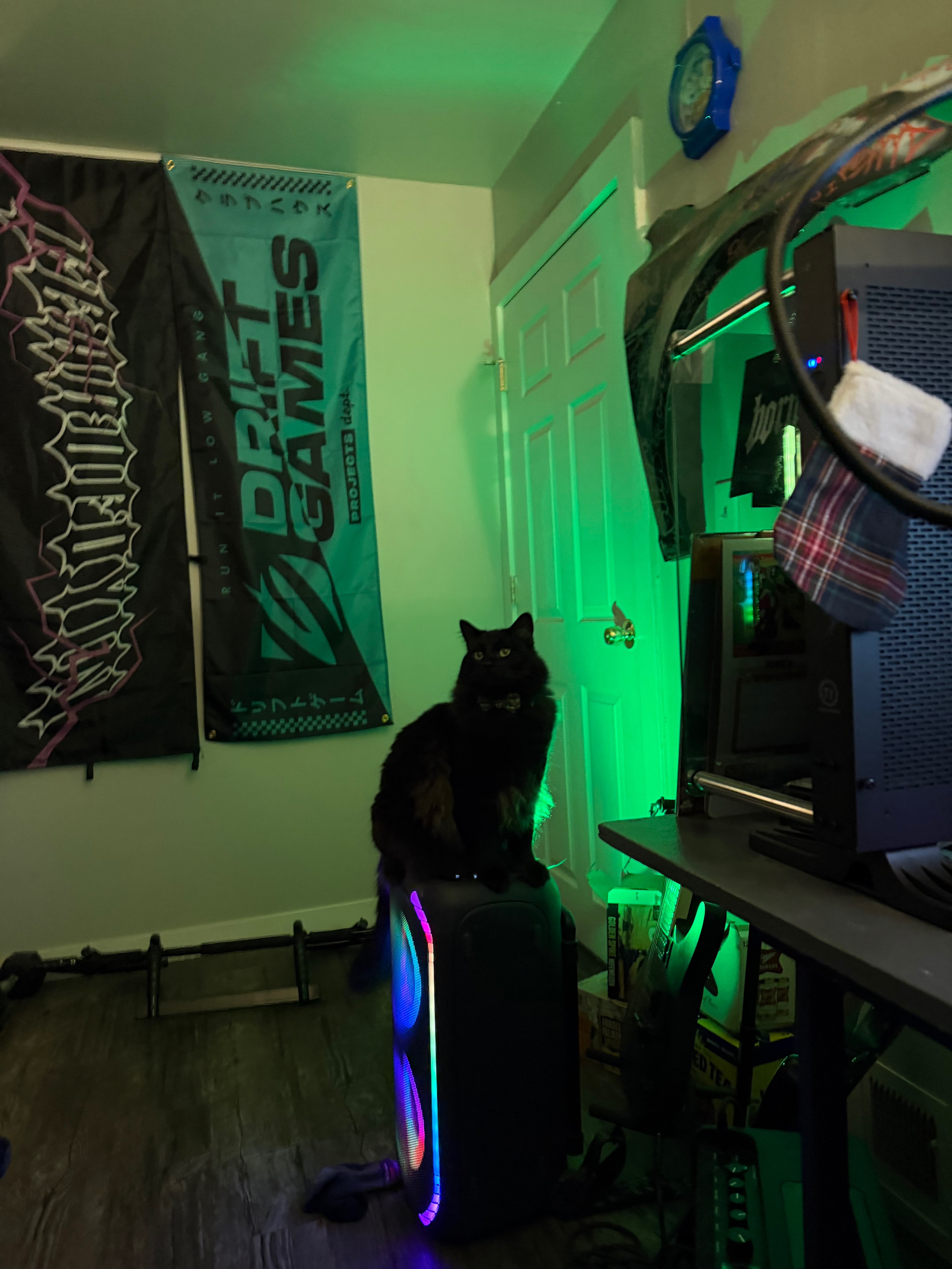 Fundraiser by Bryson Hendricks : Sonic the Hedgehog Wiener Bill