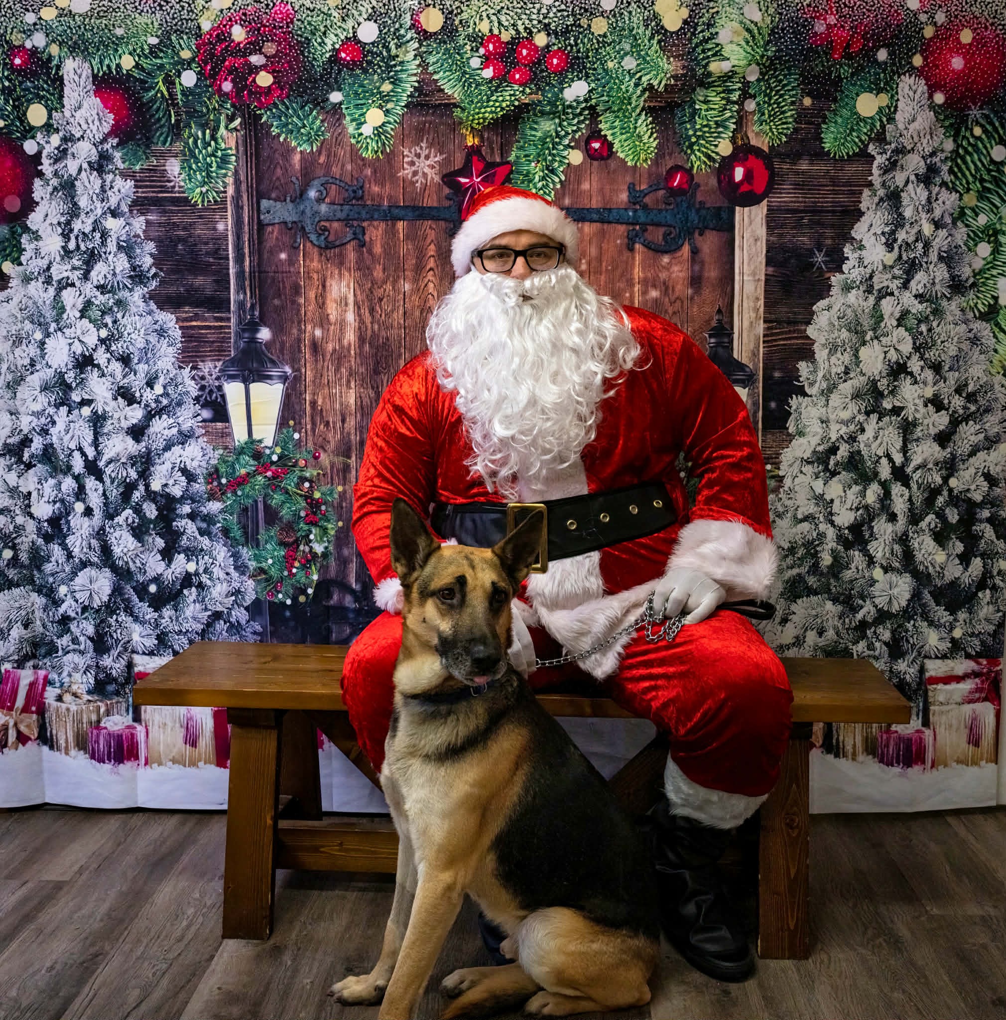 Fundraiser by Marianne Marshall : Donate to Cover Arturo’s Vet Expenses