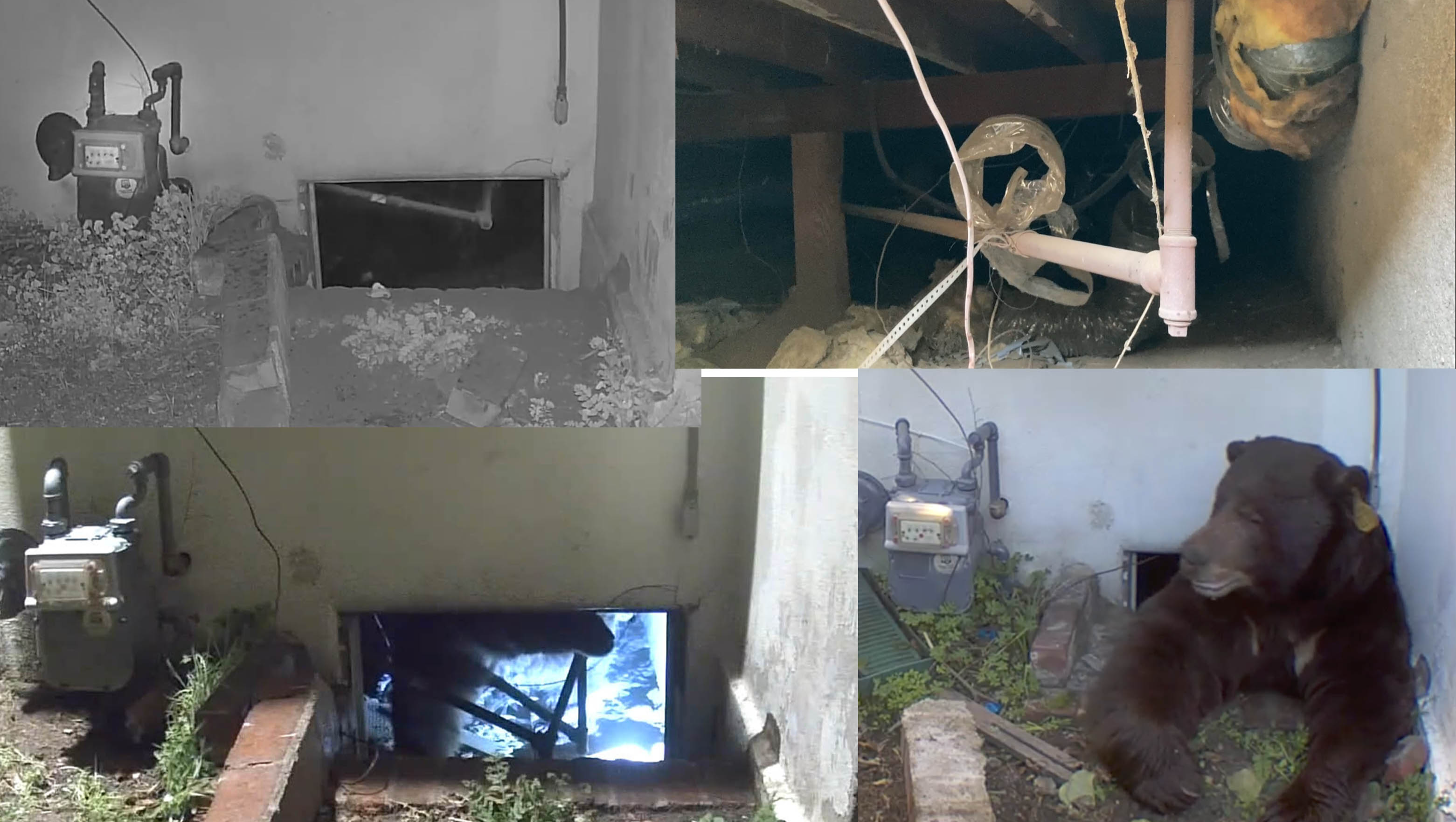 Fundraiser by Ken Johnson : Help Ken repair home damage caused by ...