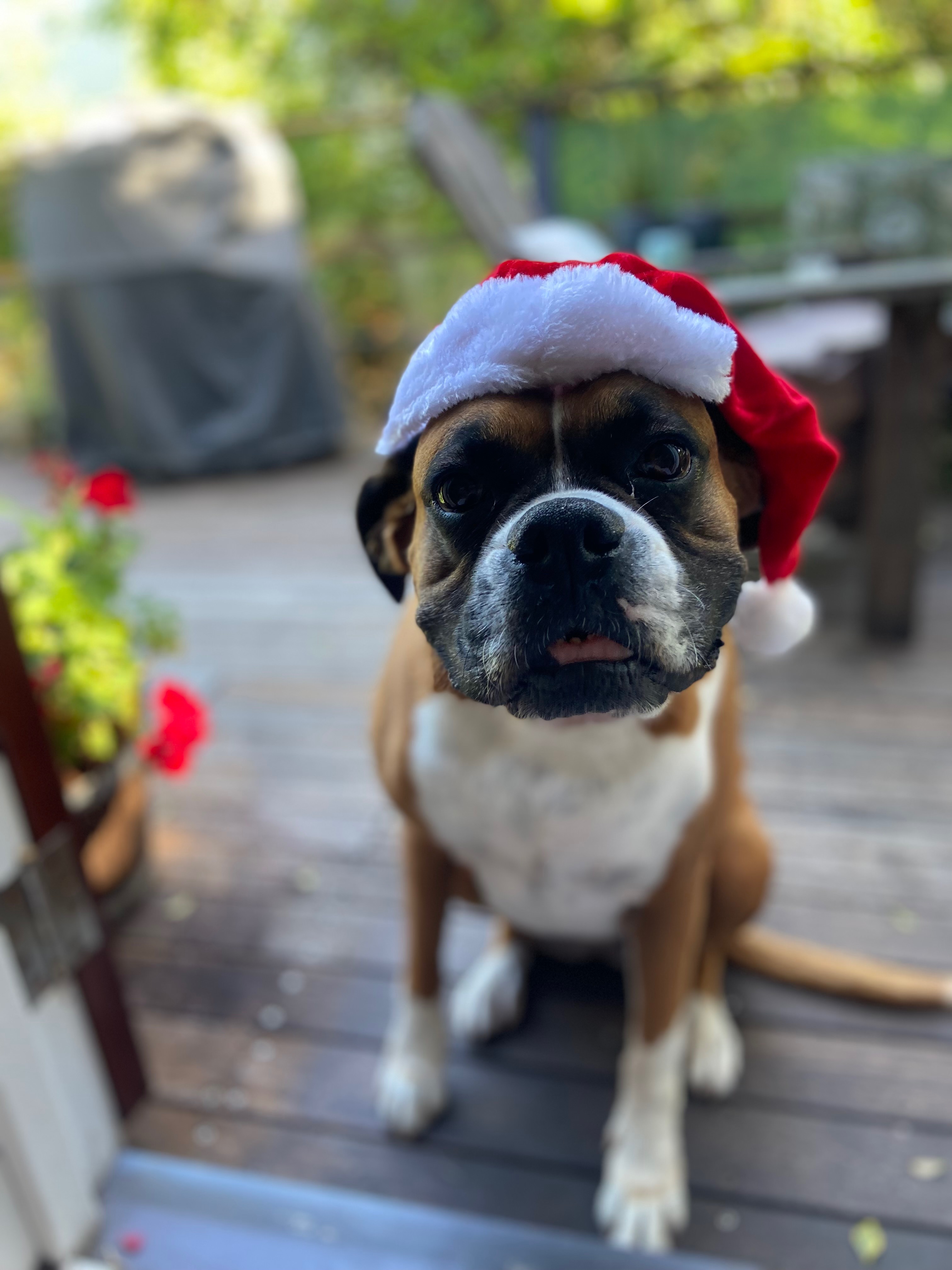 Fundraiser by Paget Hargreaves : Support for Ruby