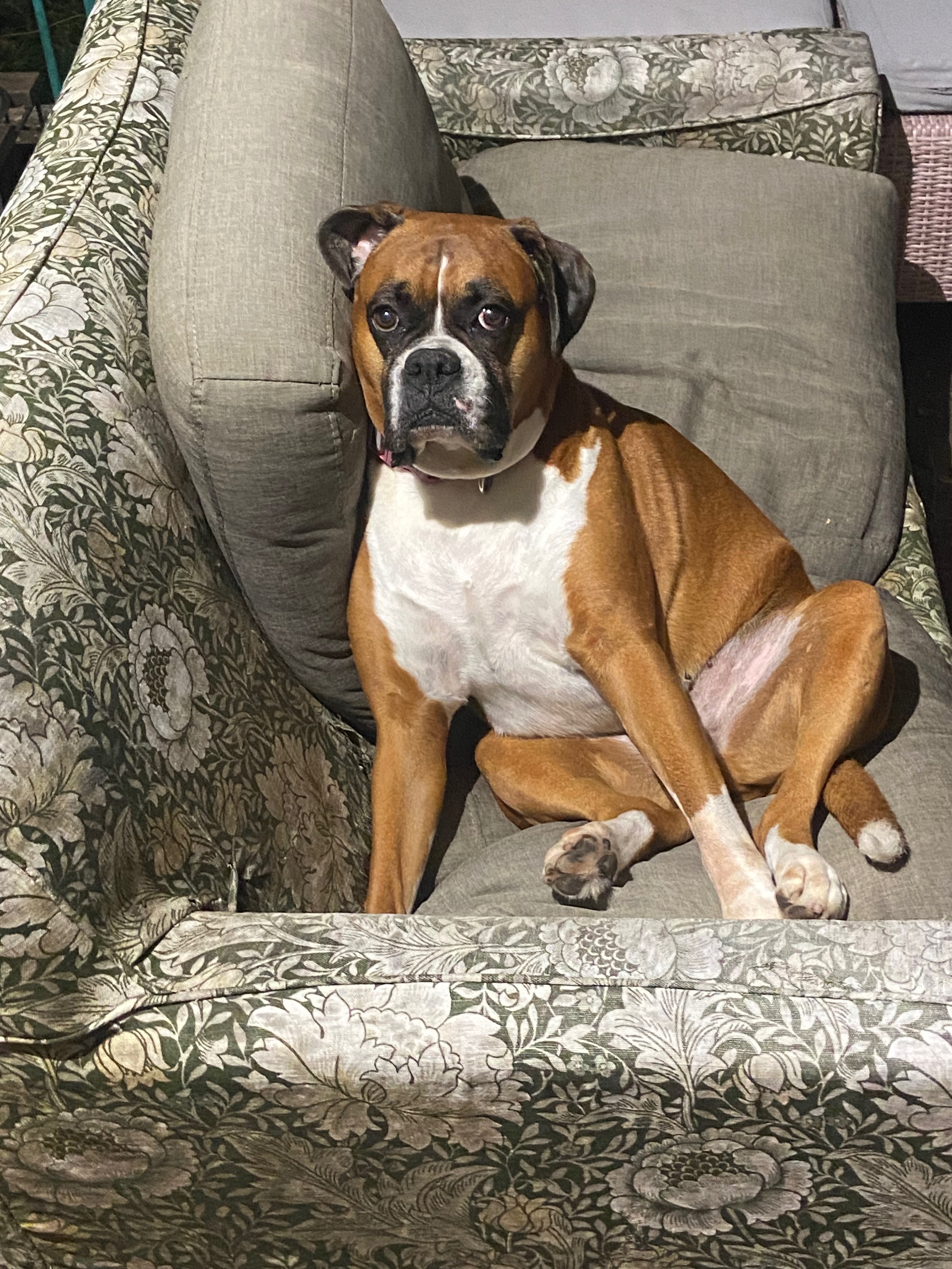 Fundraiser by Paget Hargreaves : Support for Ruby