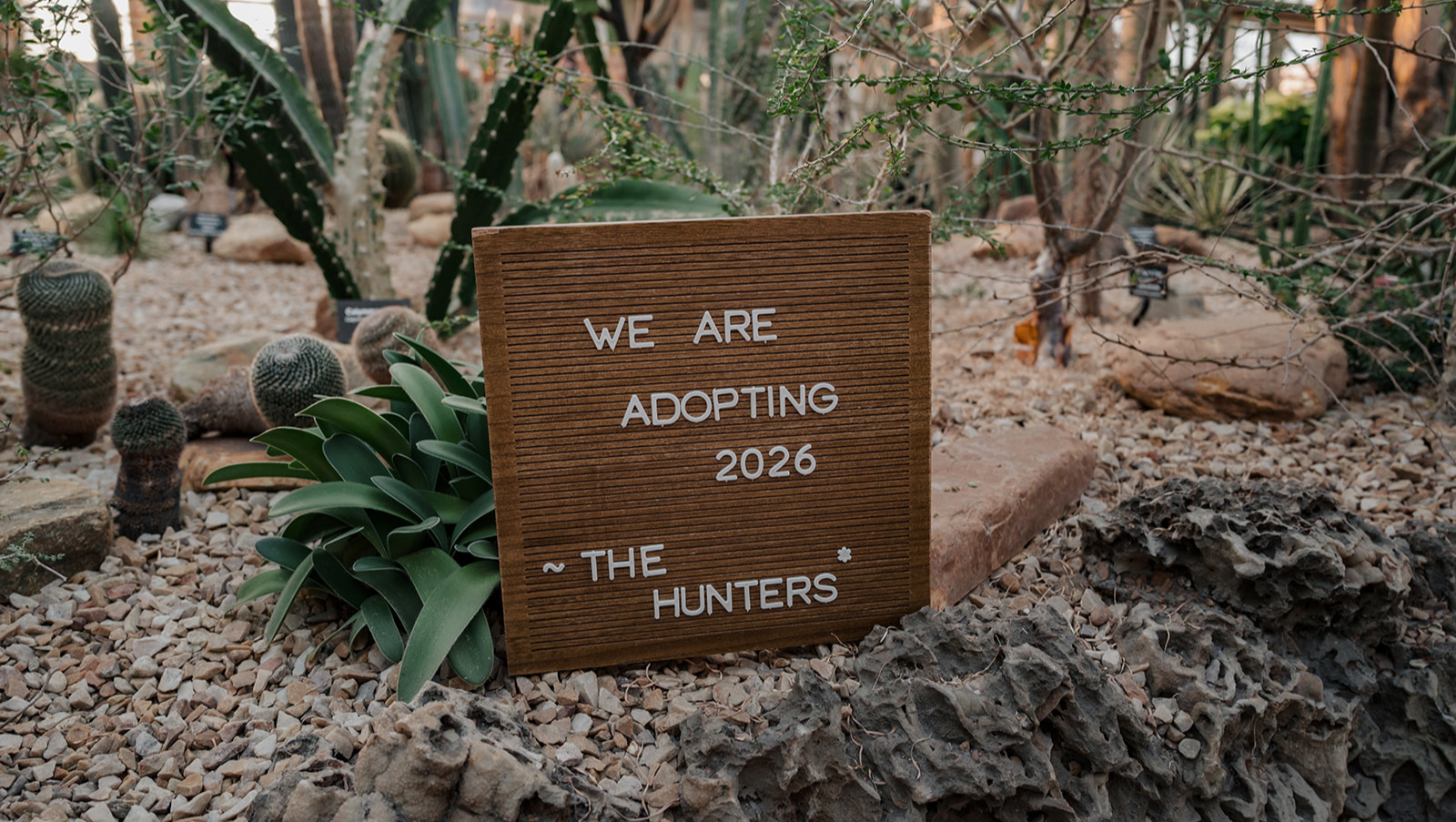 Fundraiser by Maddie Hunter : Support Our Journey to Adopt in 2026