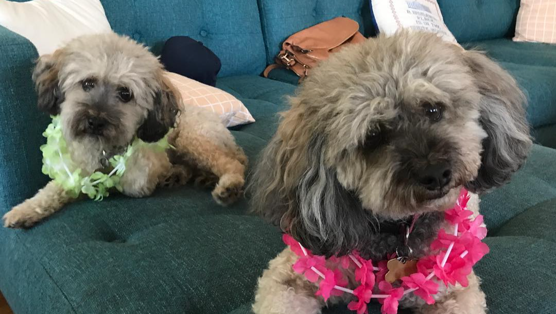 Fundraiser for Bronwyn Beck by Rachel Andersson : Help Bronwyn & Jon ...