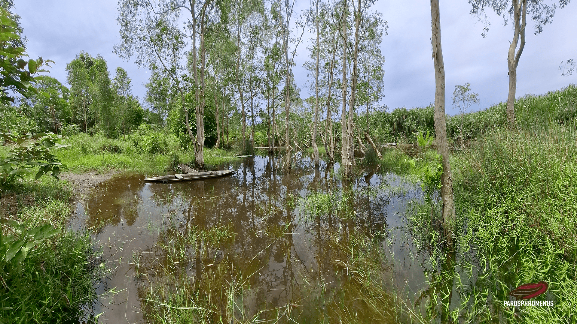 Fundraiser by Secher Benjamin : Help protect Indonesia’s endemic ...