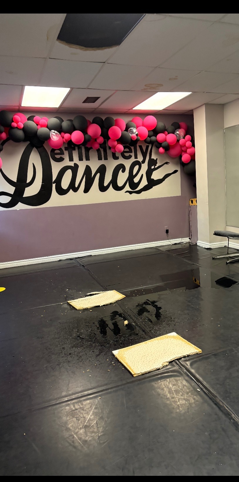 Fundraiser by Donna Butcher : Save Definitely Dance — A Lifeline for ...