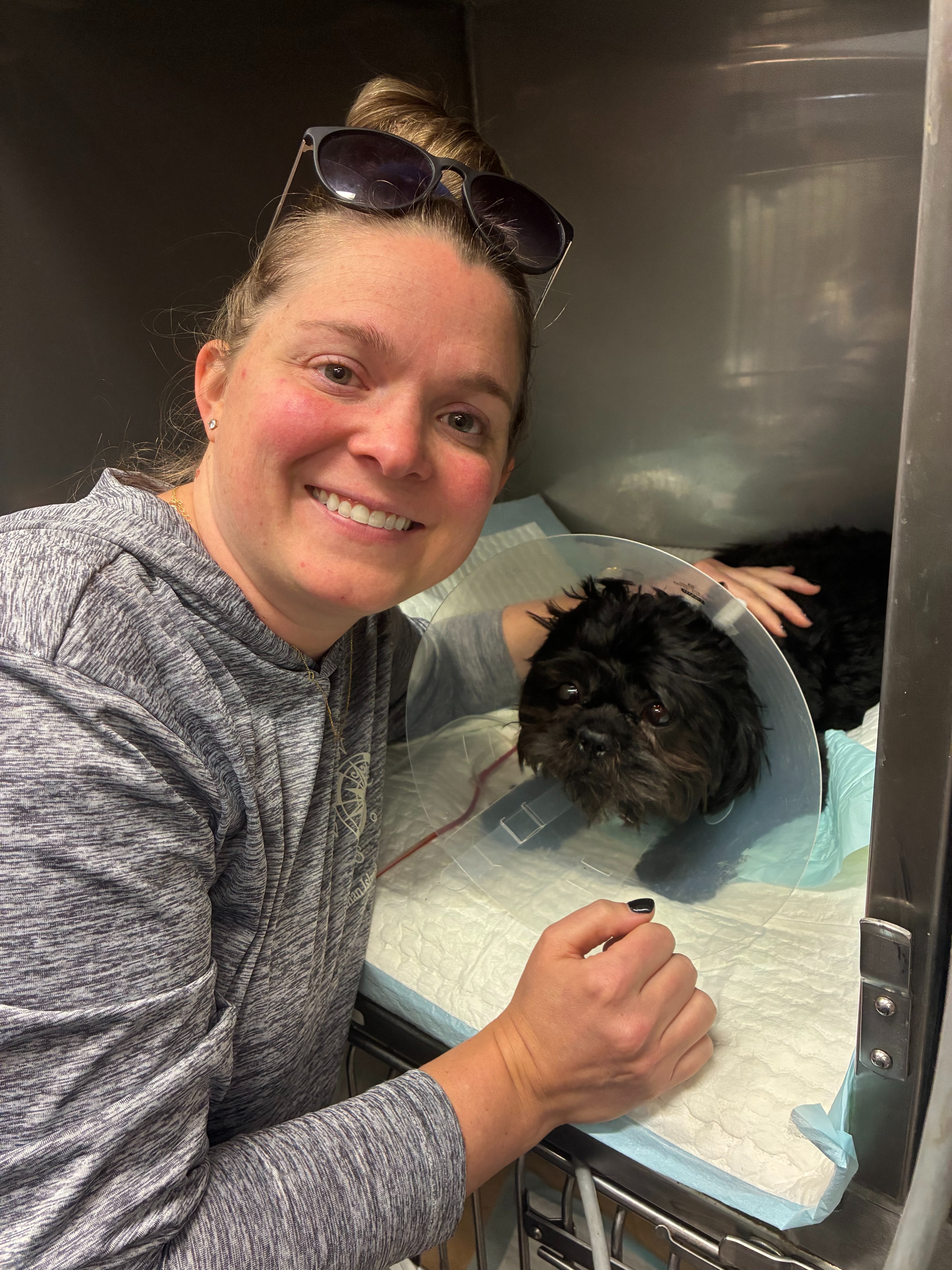 Fundraiser by Kimber Rahm : Get Walter Back to Playing and Running