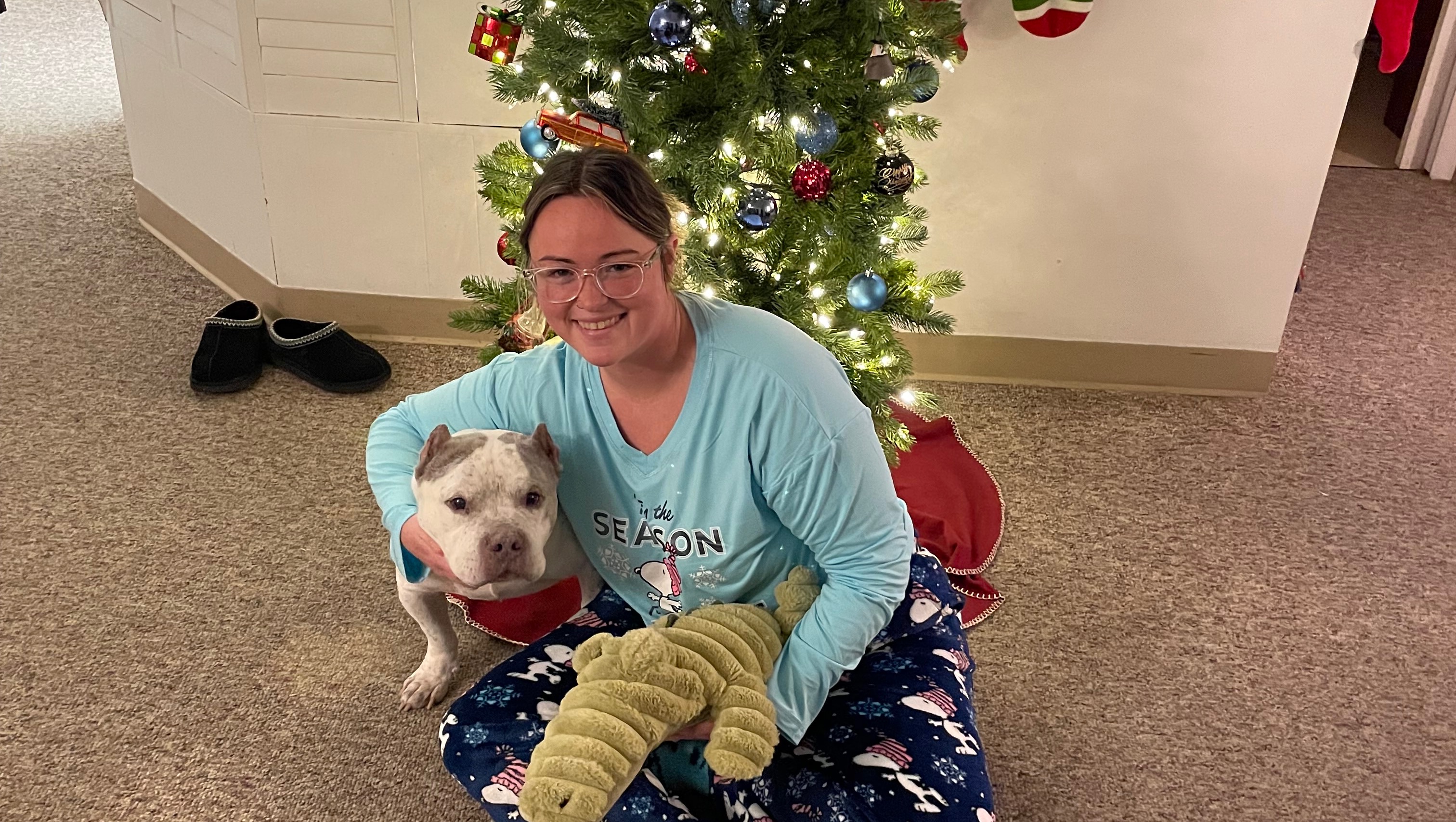 Fundraiser by Kayla Rowe : Help Paco (Bean) Get Vet Care