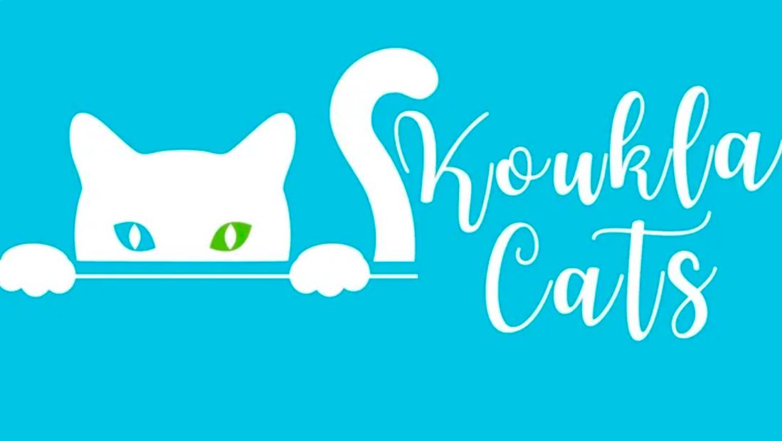 Fundraiser by Elly Adams : Cam’s Commemorative Christmas Catio