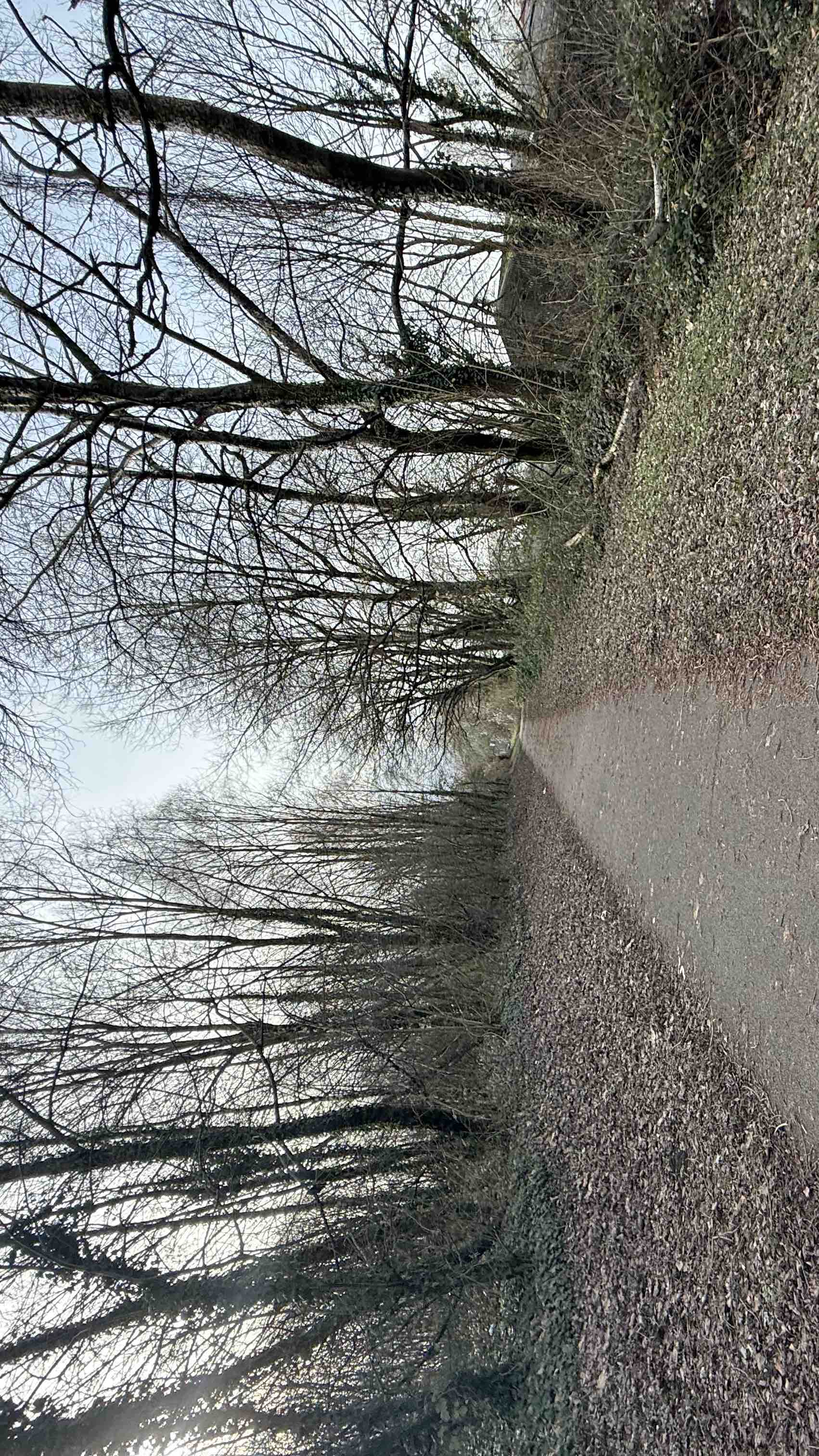 Fundraiser by Alfie Humphreys : 100 Miles for MIND