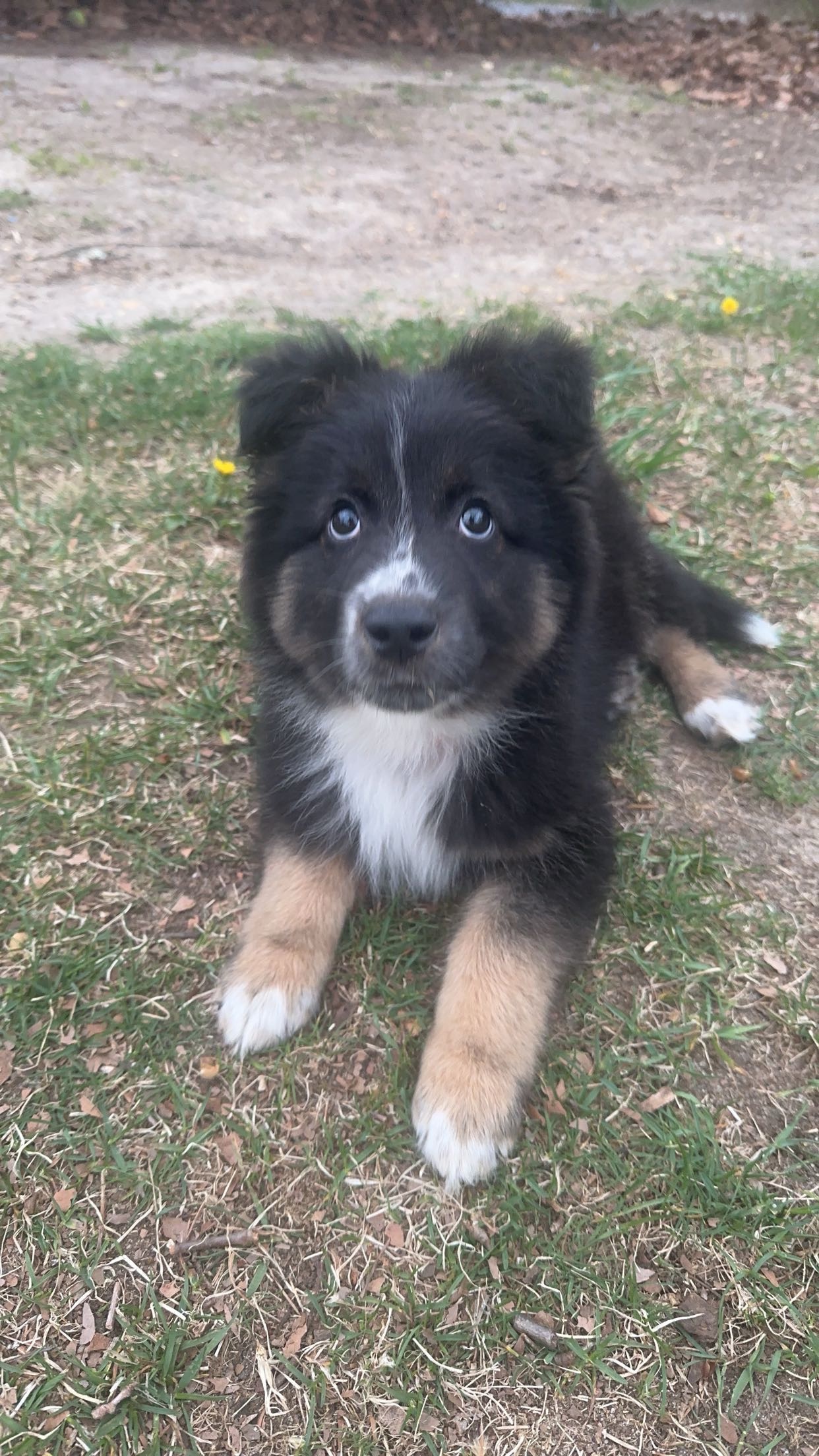 Fundraiser by Sarah Ferebee : Help Doug Get the Surgery He Needs