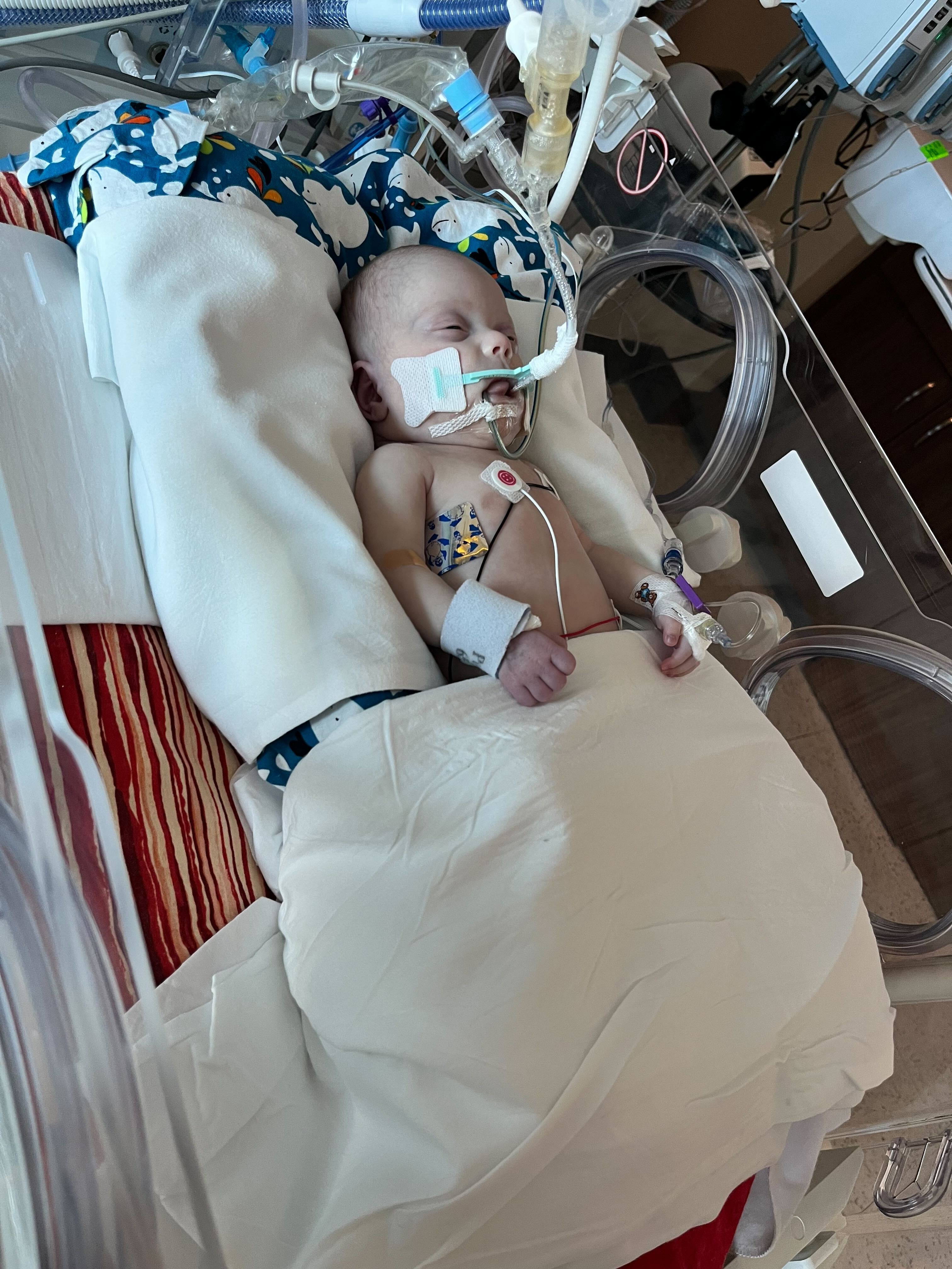 Fundraiser for Bridget DiCioccio by Bailee Picarella : Support for ...