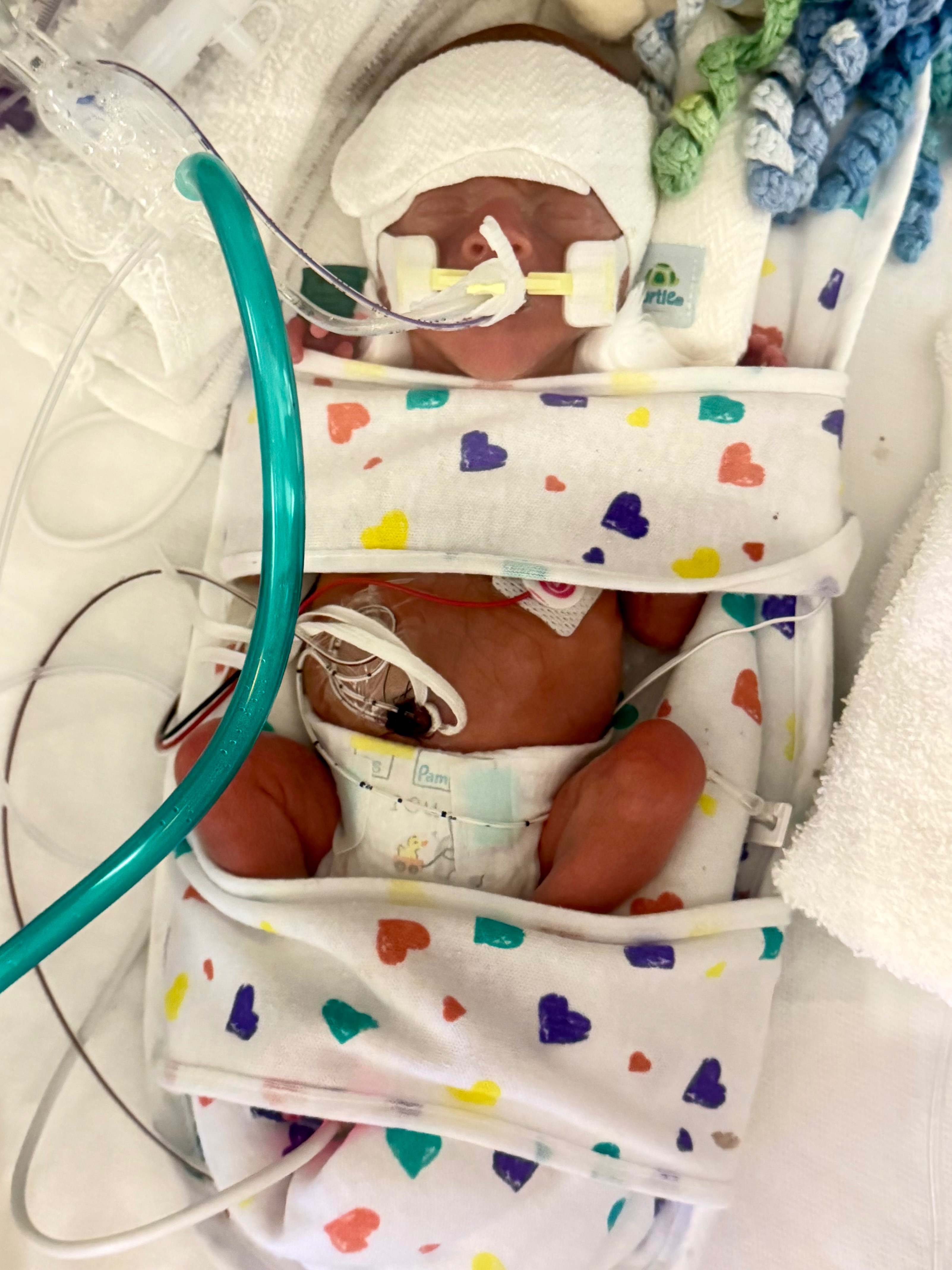 Fundraiser for Chelsea Belcher by Katelyn Blankenship : Support Baby ...